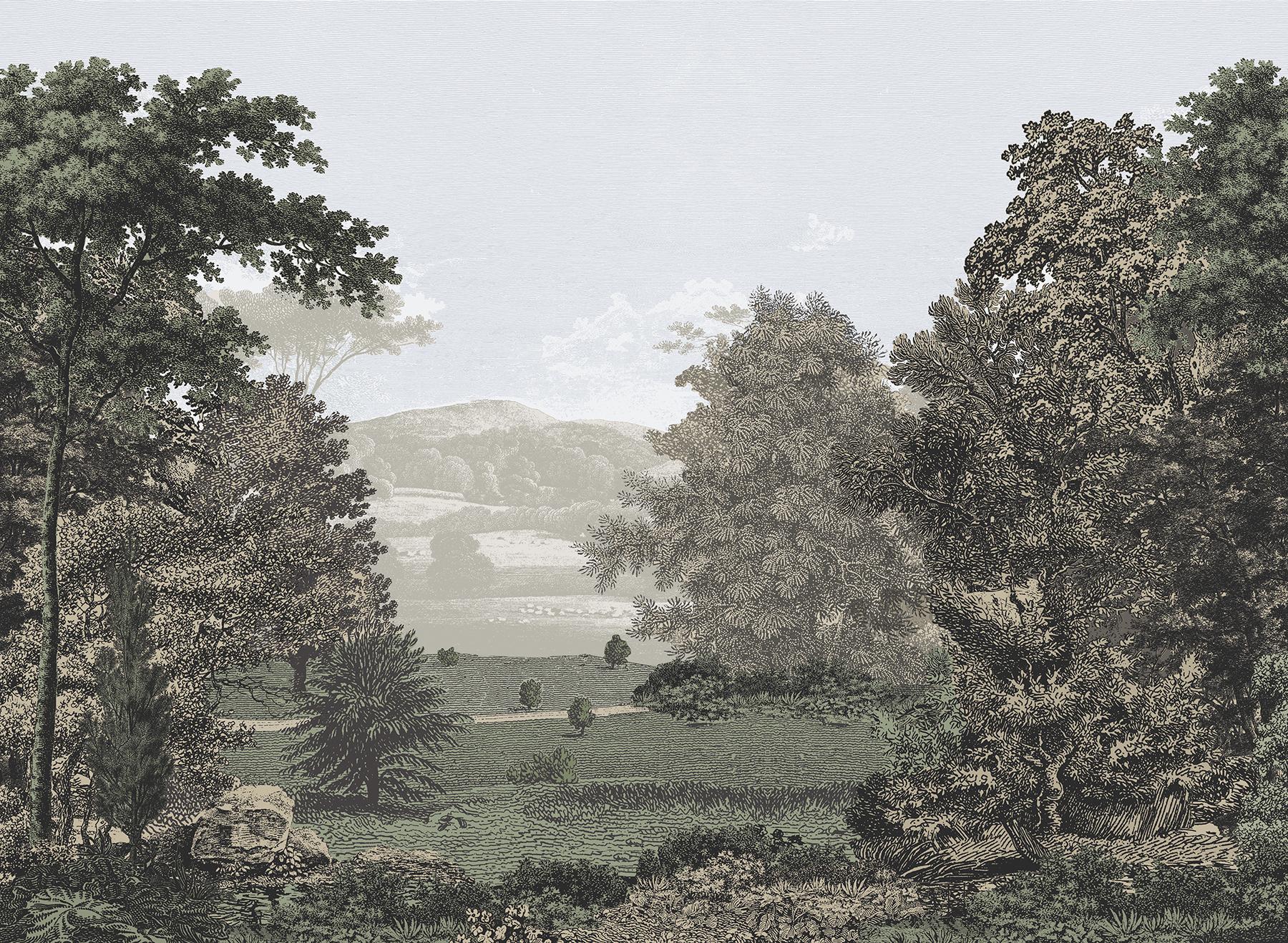 Morning Light Wallpapers - Top Free Morning Light Backgrounds ...