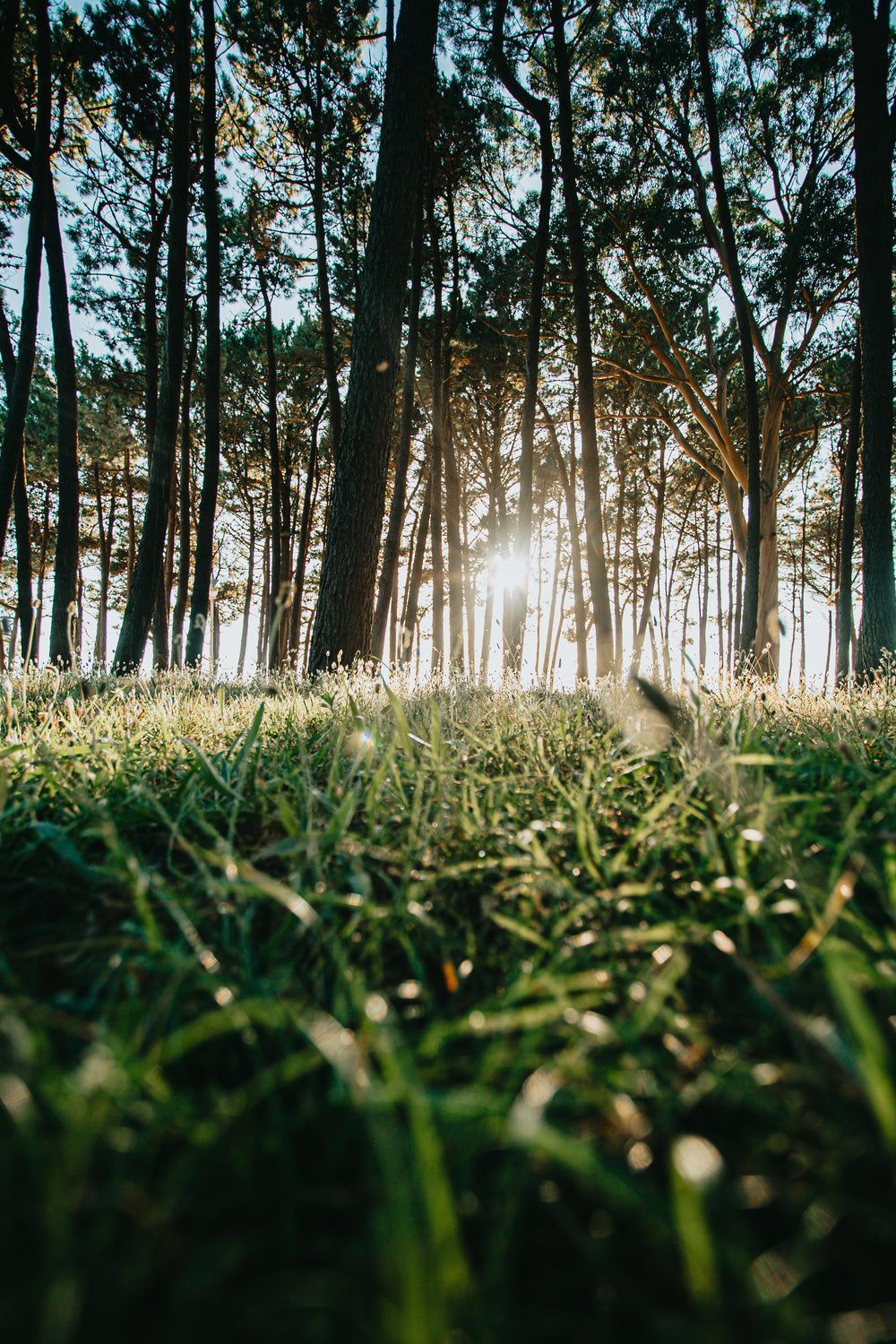 Morning Light Wallpapers - Top Free Morning Light Backgrounds ...