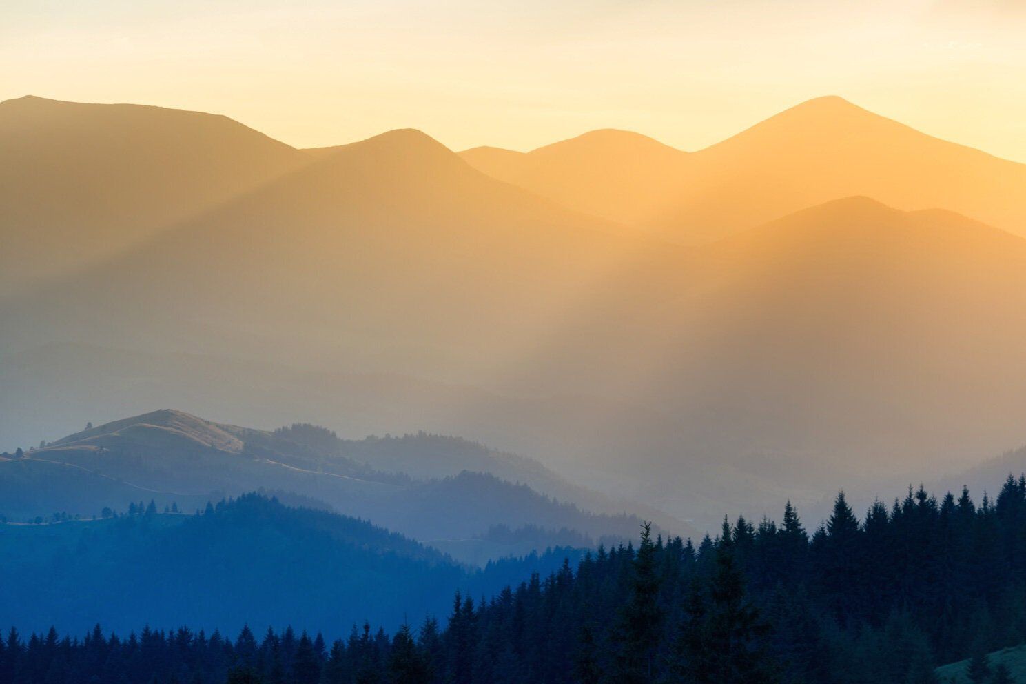 Morning Light Wallpapers - Top Free Morning Light Backgrounds ...