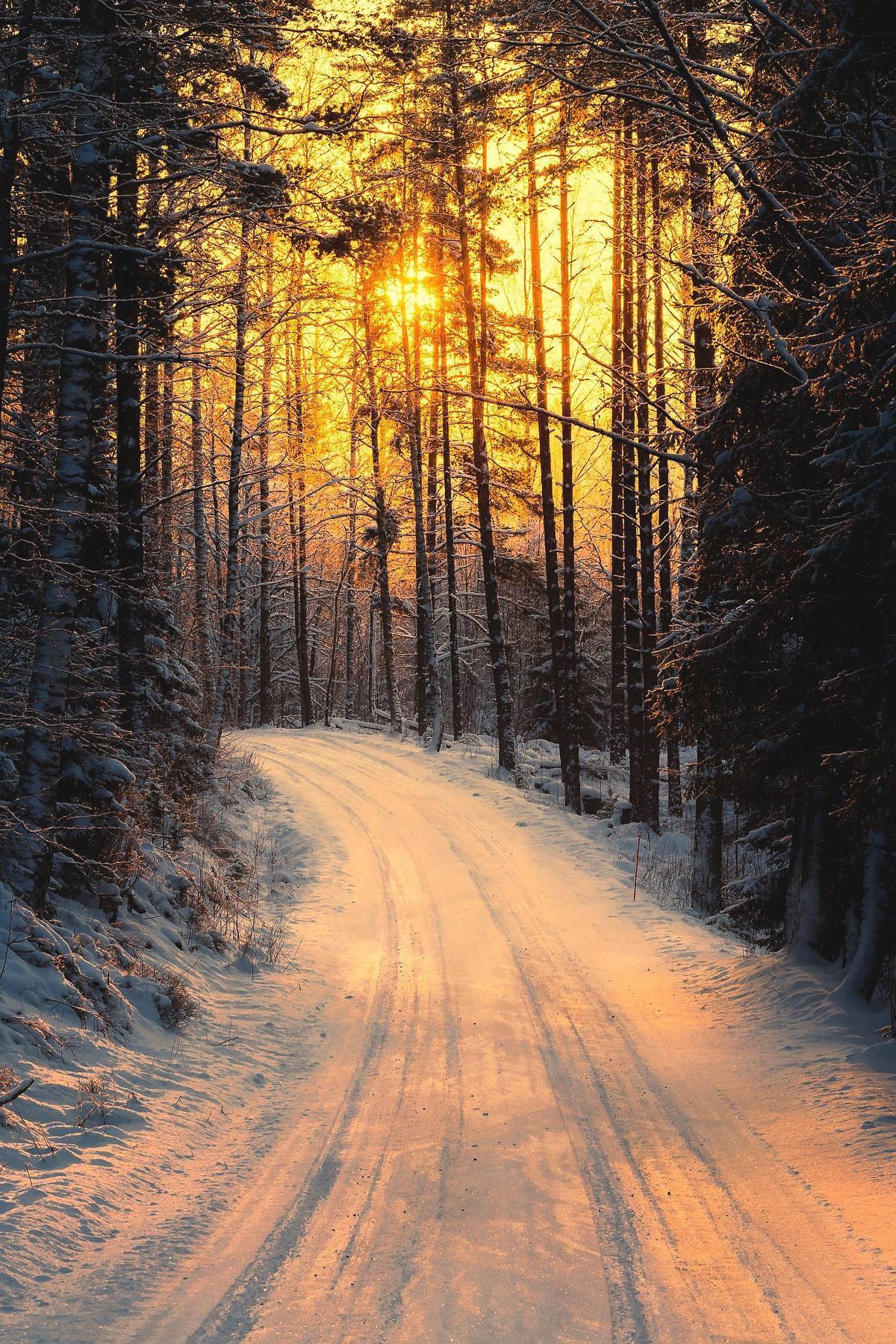 Morning Light Wallpapers - Top Free Morning Light Backgrounds ...