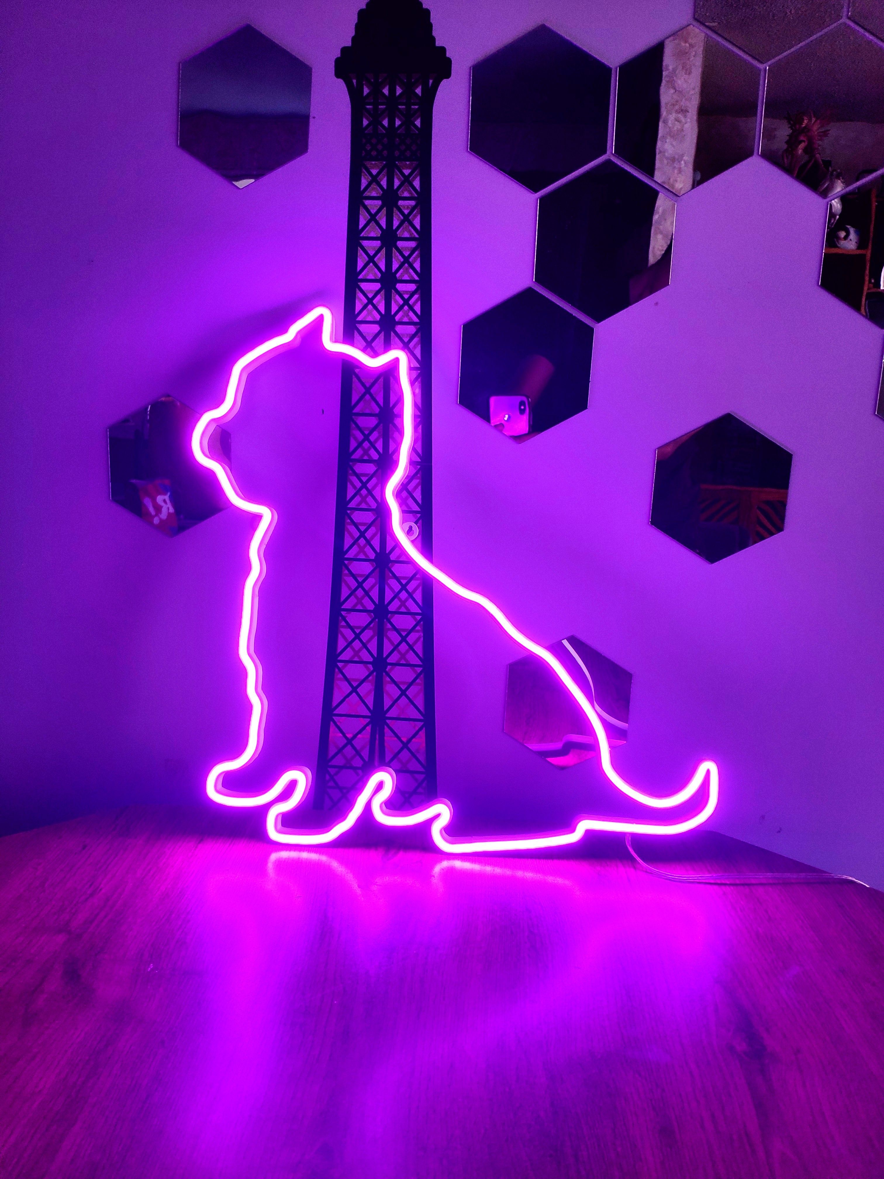 Neon RGB Wallpapers - Top Free Neon RGB Backgrounds - WallpaperAccess