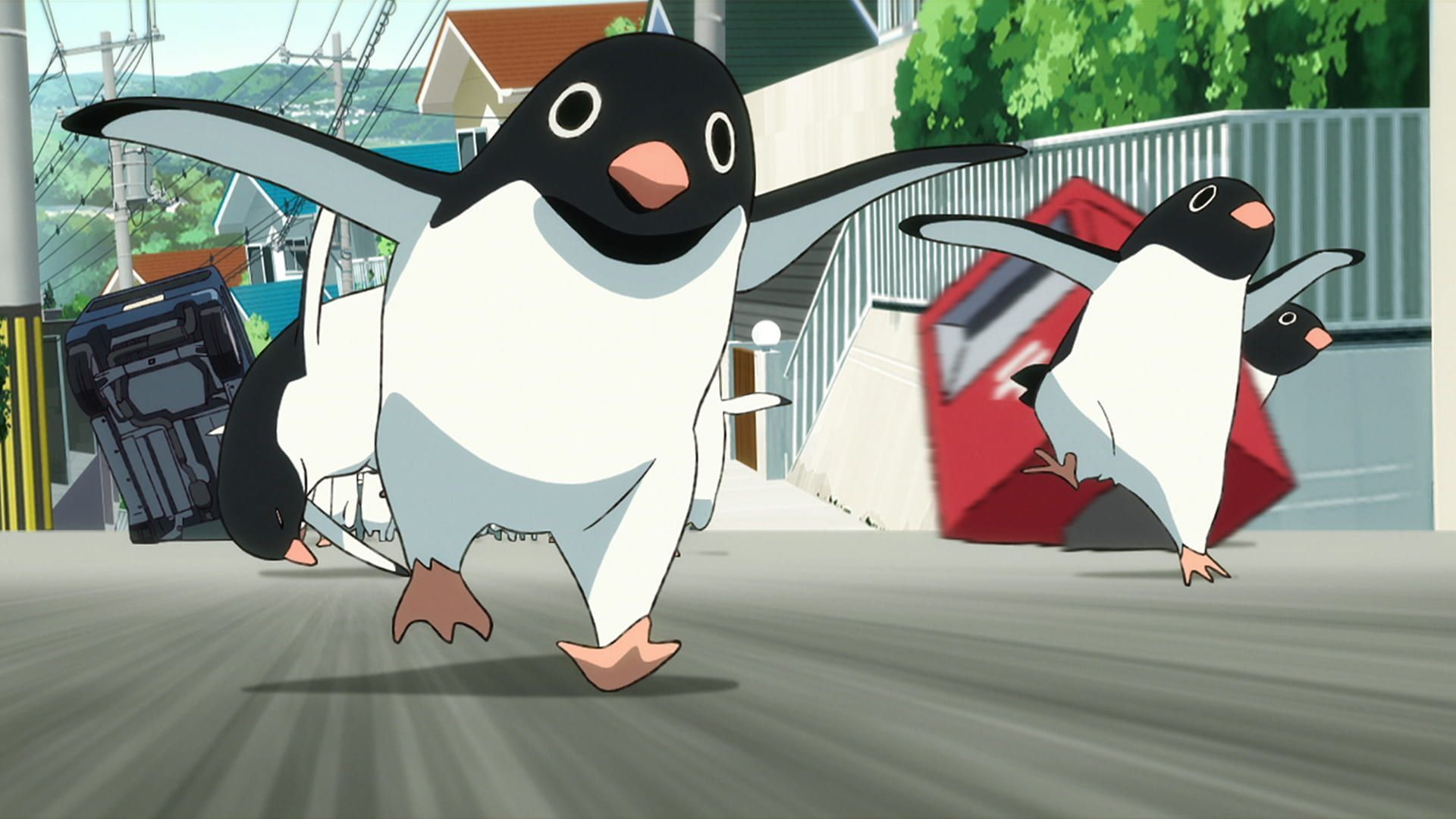 Penguin Highway Wallpapers - Top Free Penguin Highway Backgrounds ...