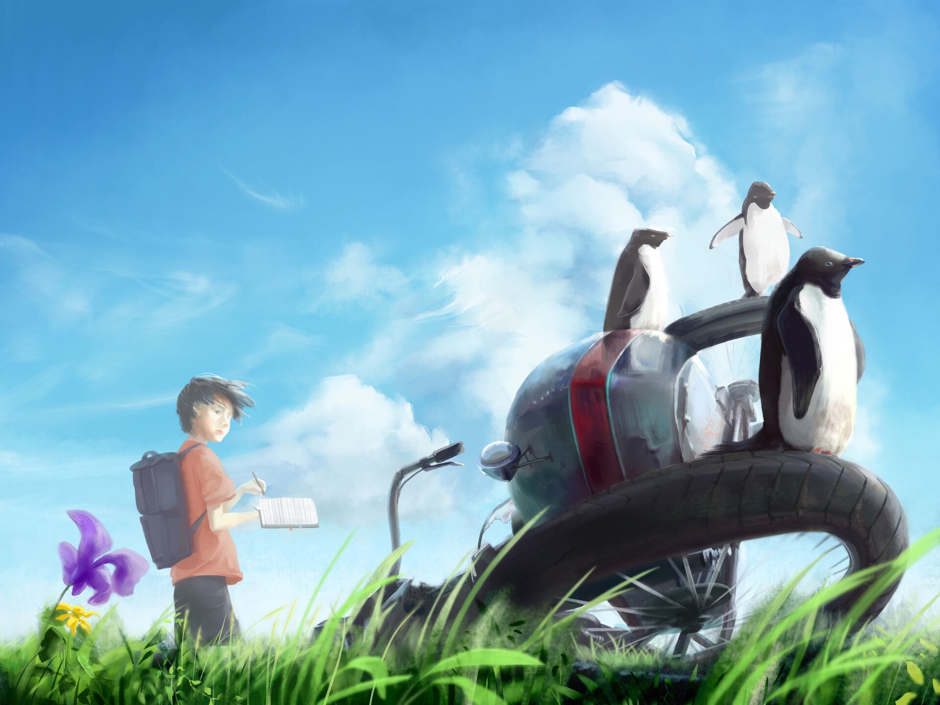 Penguin Highway Wallpapers - Top Free Penguin Highway Backgrounds ...