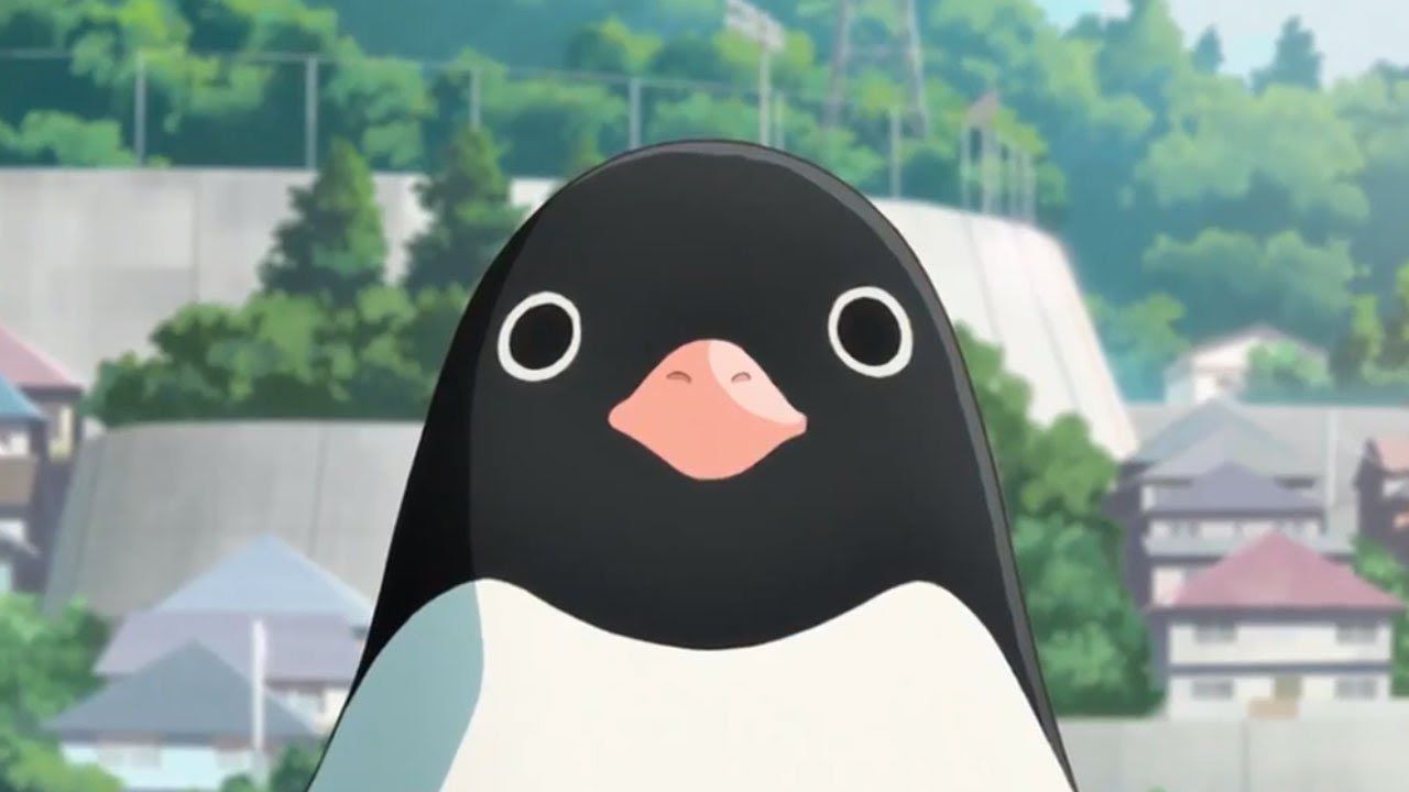 Penguin Highway Wallpapers - Top Free Penguin Highway Backgrounds ...