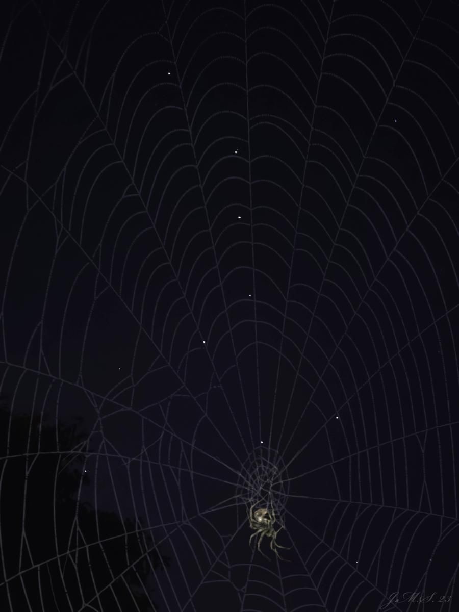 Ursa Major Wallpapers - Top Free Ursa Major Backgrounds - WallpaperAccess