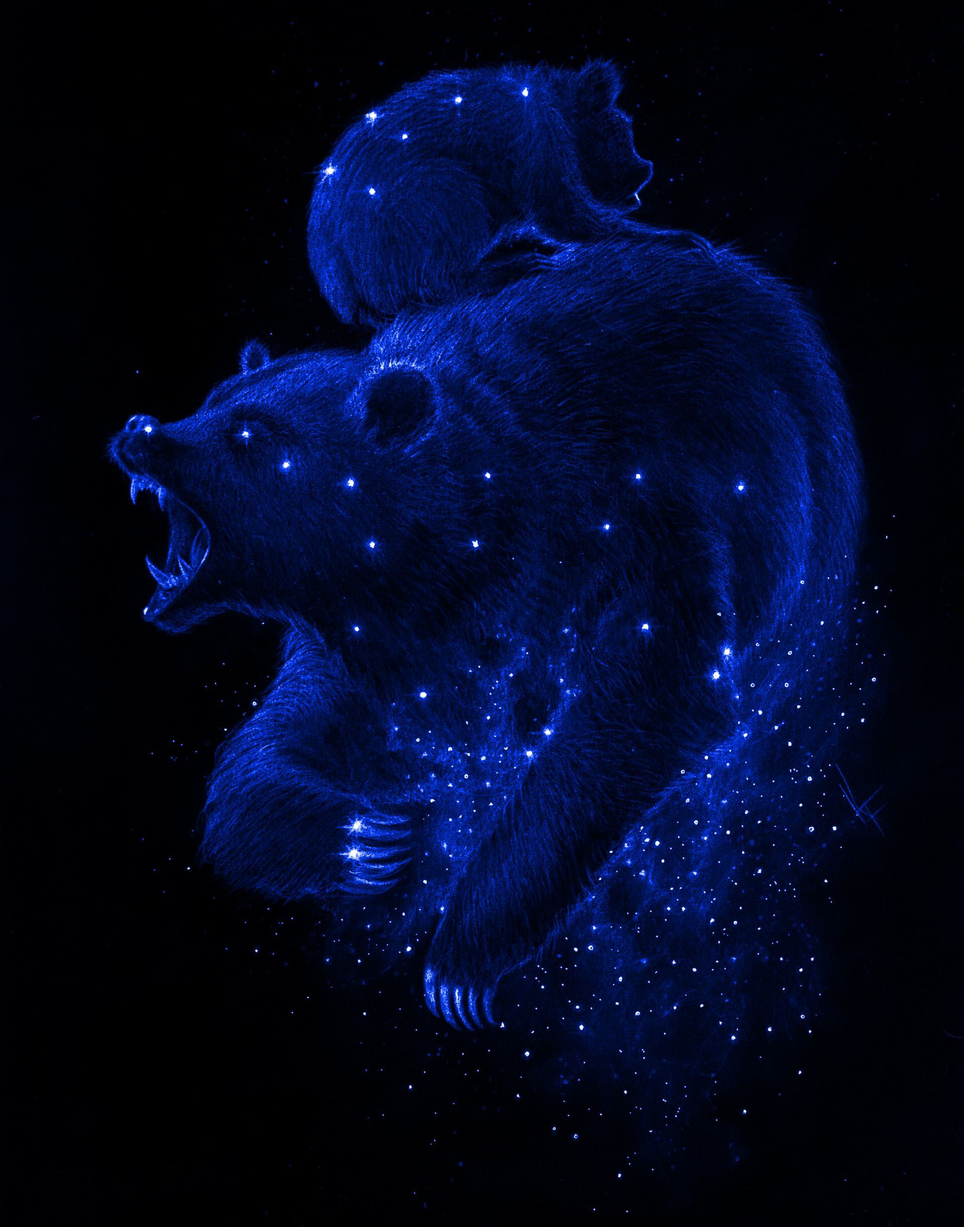 Ursa Major Wallpapers - Top Free Ursa Major Backgrounds - WallpaperAccess