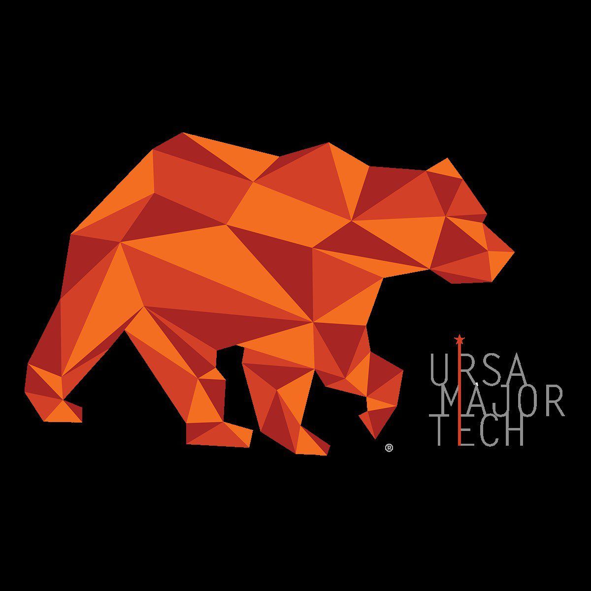 Ursa Major Wallpapers - Top Free Ursa Major Backgrounds - WallpaperAccess