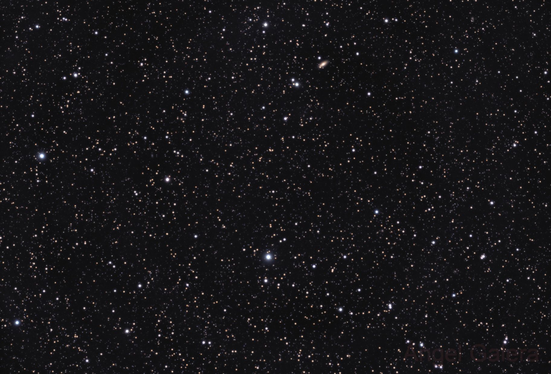Ursa Major Wallpapers - Top Free Ursa Major Backgrounds - WallpaperAccess