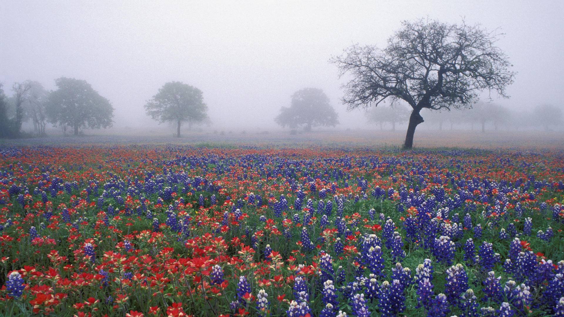 Texas Country Desktop Wallpapers - Top Free Texas Country Desktop ...