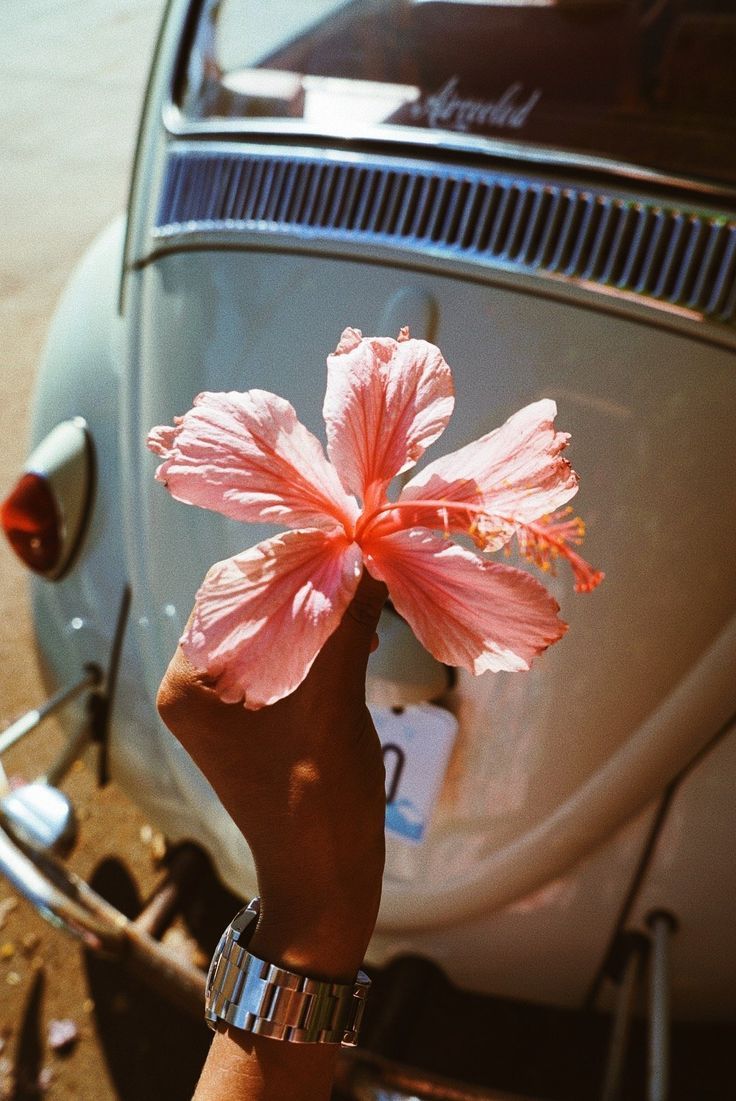 Retro Summer Wallpapers - Top Free Retro Summer Backgrounds ...