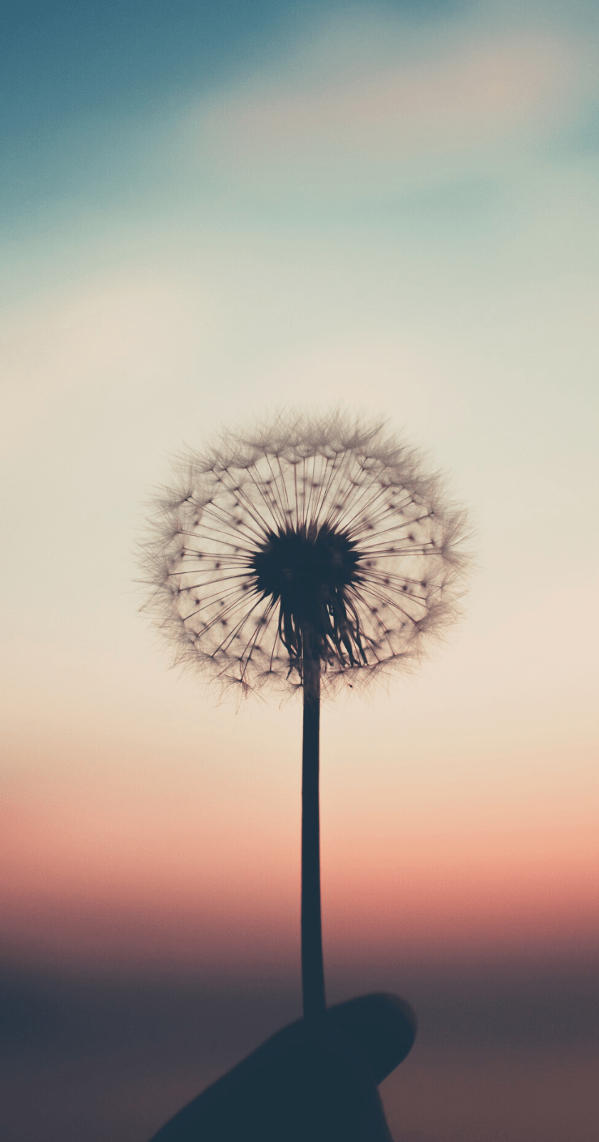 Retro Summer Wallpapers - Top Free Retro Summer Backgrounds ...