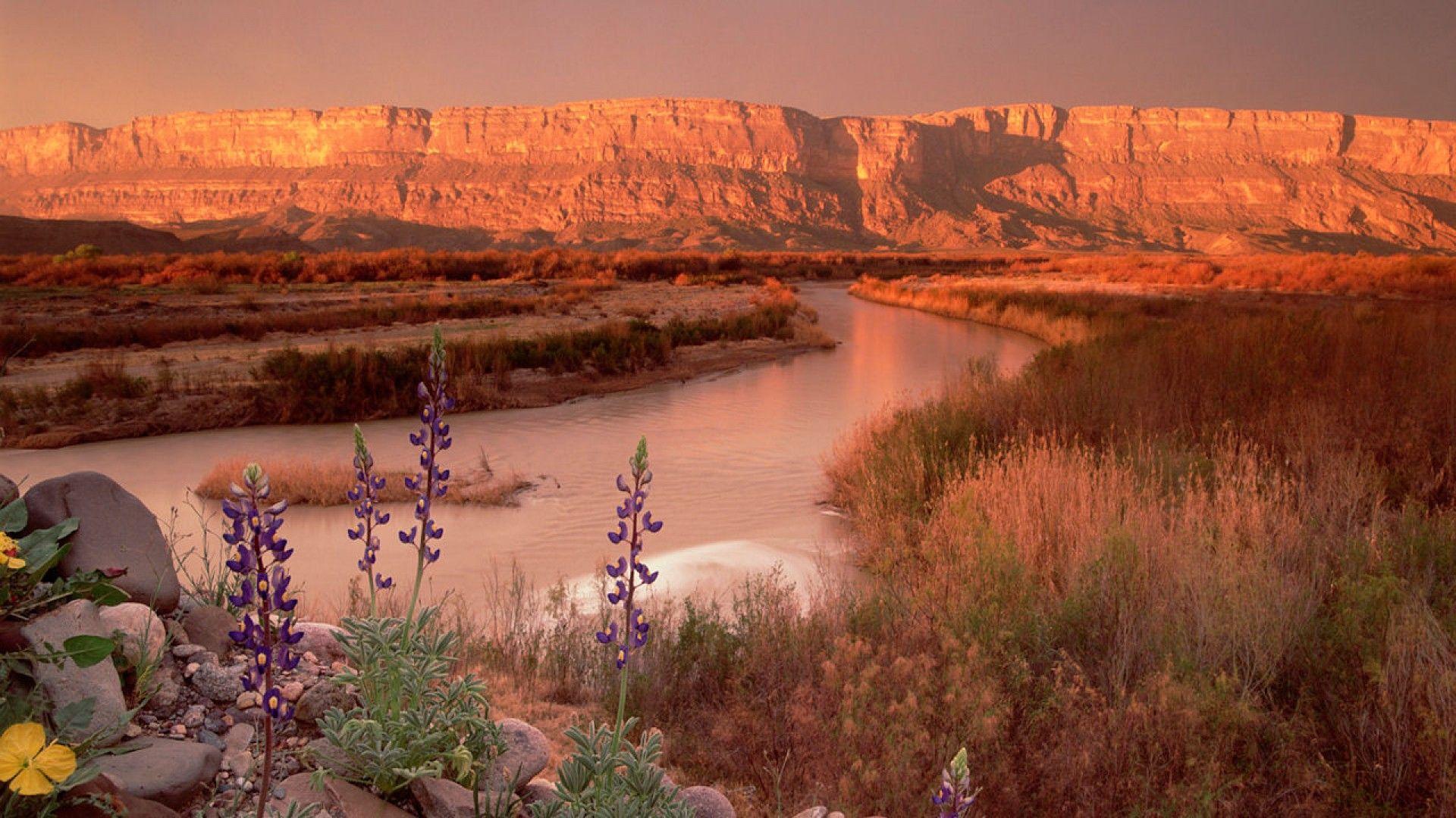 Texas Wallpapers - Top Free Texas Backgrounds - WallpaperAccess