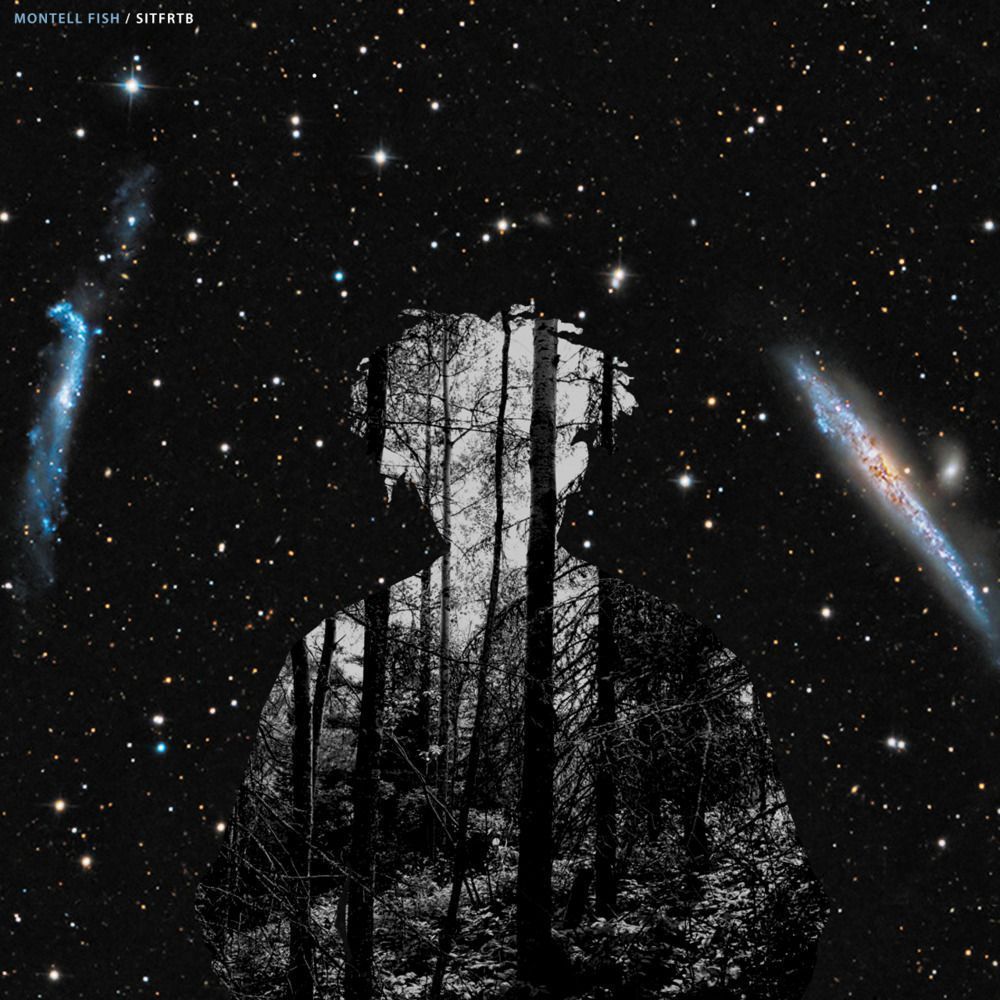 Montell Fish Wallpapers - Top Free Montell Fish Backgrounds ...