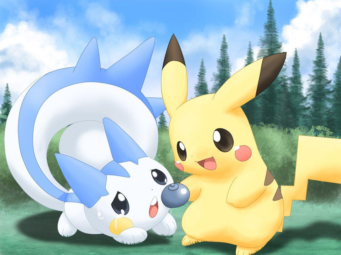 Cute Pachirisu Wallpapers - Top Free Cute Pachirisu Backgrounds ...