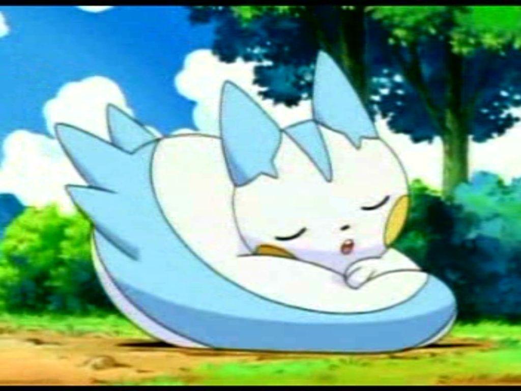 Cute Pachirisu Wallpapers - Top Free Cute Pachirisu Backgrounds ...