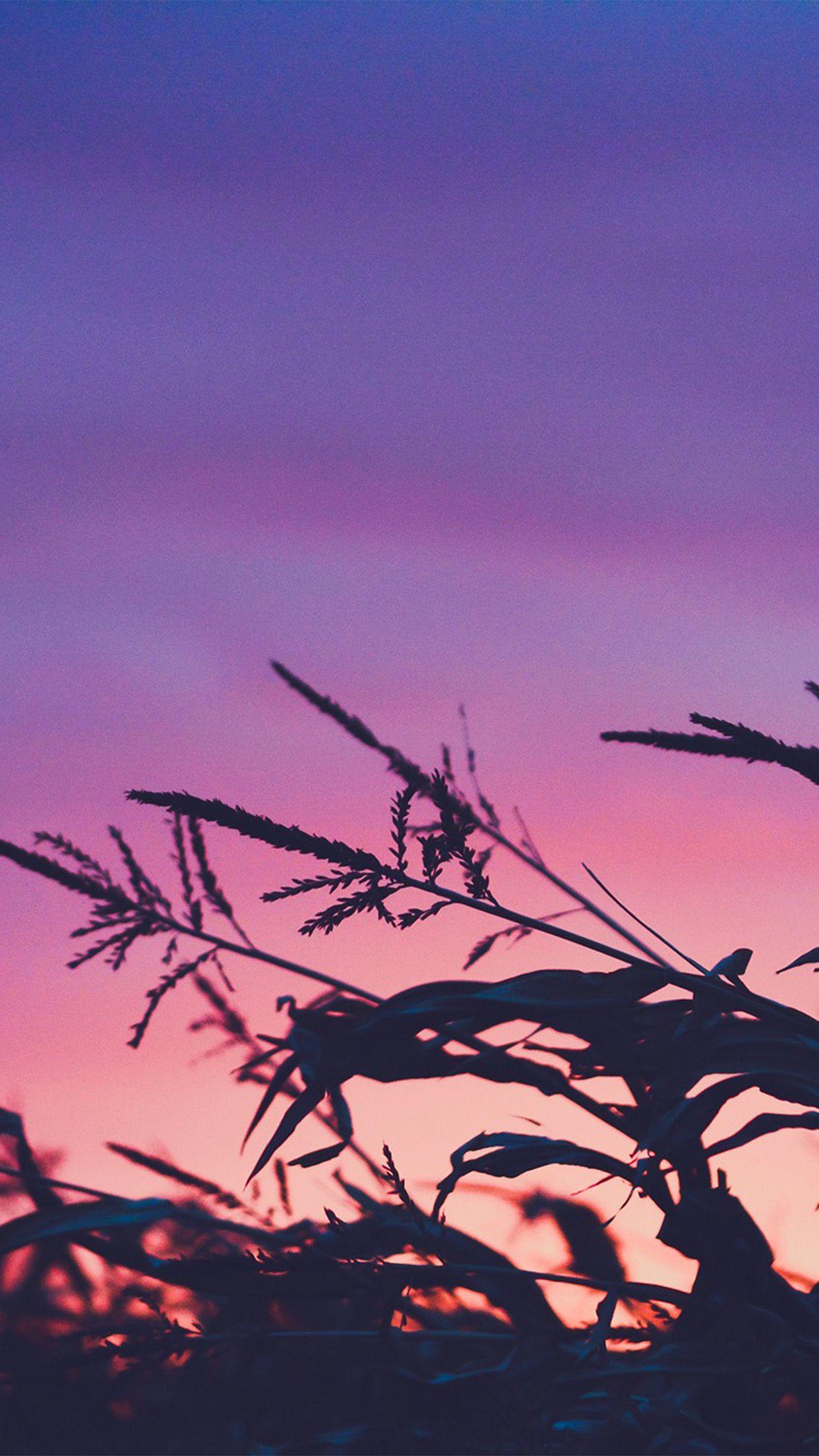 Beautiful Sunset iPhone Wallpapers - Top Free Beautiful Sunset iPhone ...