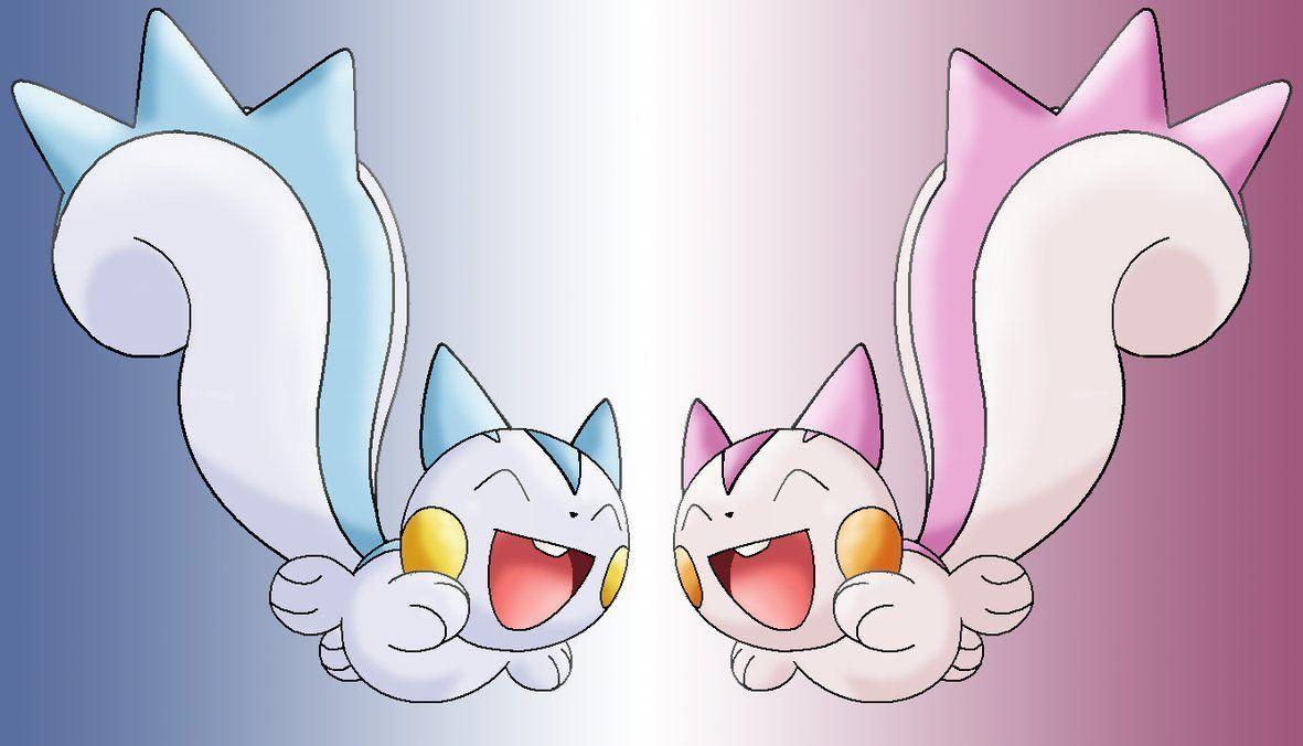 Cute Pachirisu Wallpapers - Top Free Cute Pachirisu Backgrounds ...