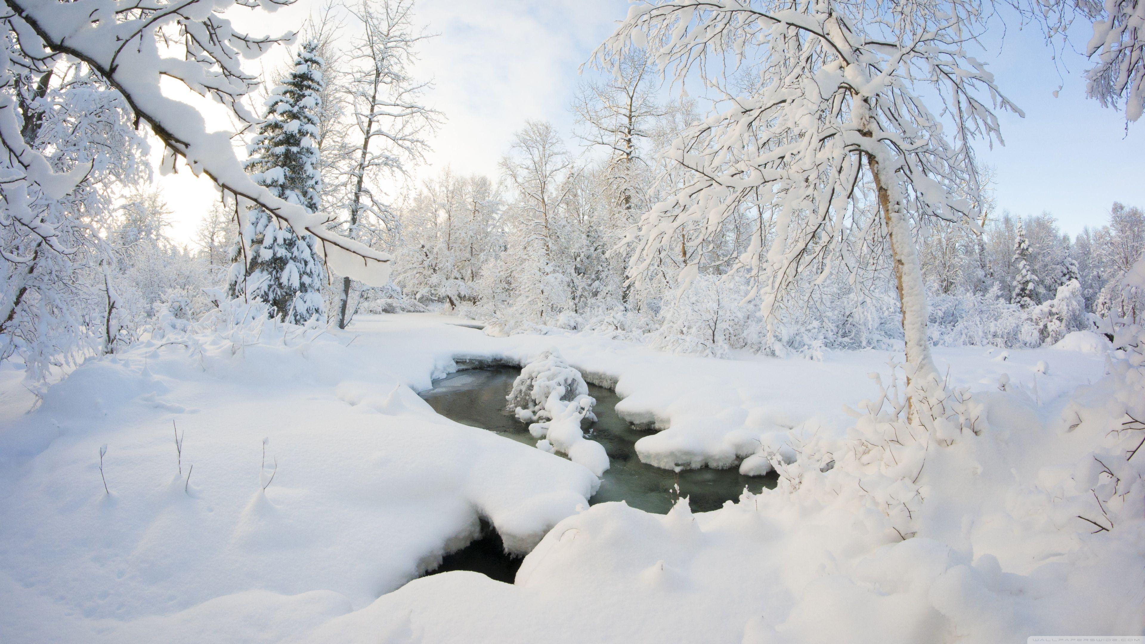 Alaska Winter HD Wallpapers - Top Free Alaska Winter HD Backgrounds ... Alaska Winter HD Wallpapers - Top Free Alaska Winter HD Backgrounds ...