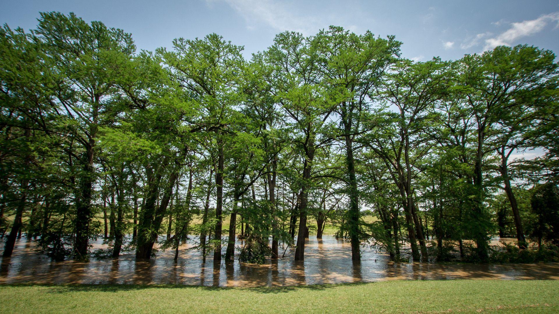 Texas Country Desktop Wallpapers - Top Free Texas Country Desktop ...