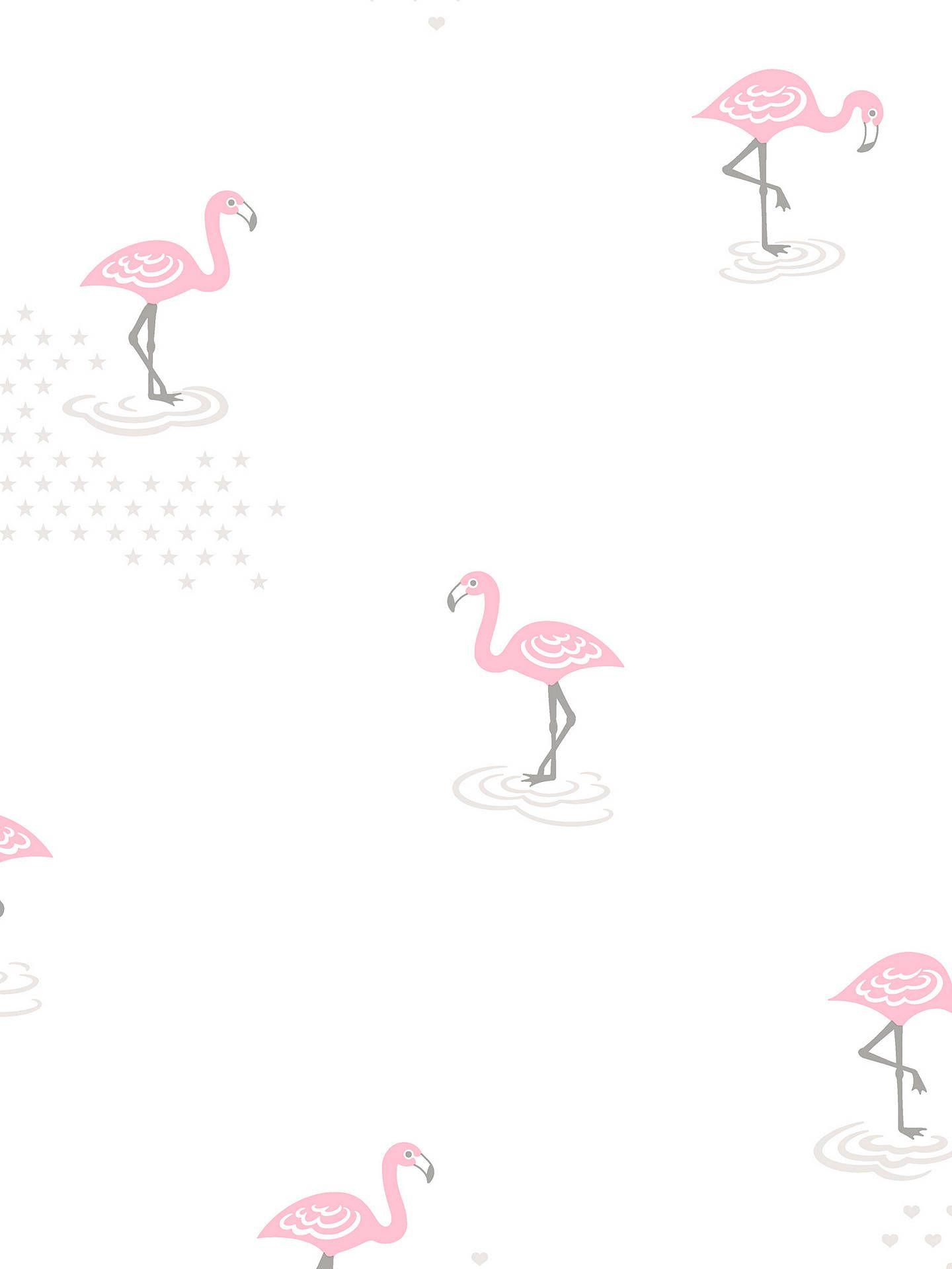 Cartoon Flamingo Wallpapers - Top Free Cartoon Flamingo Backgrounds ...