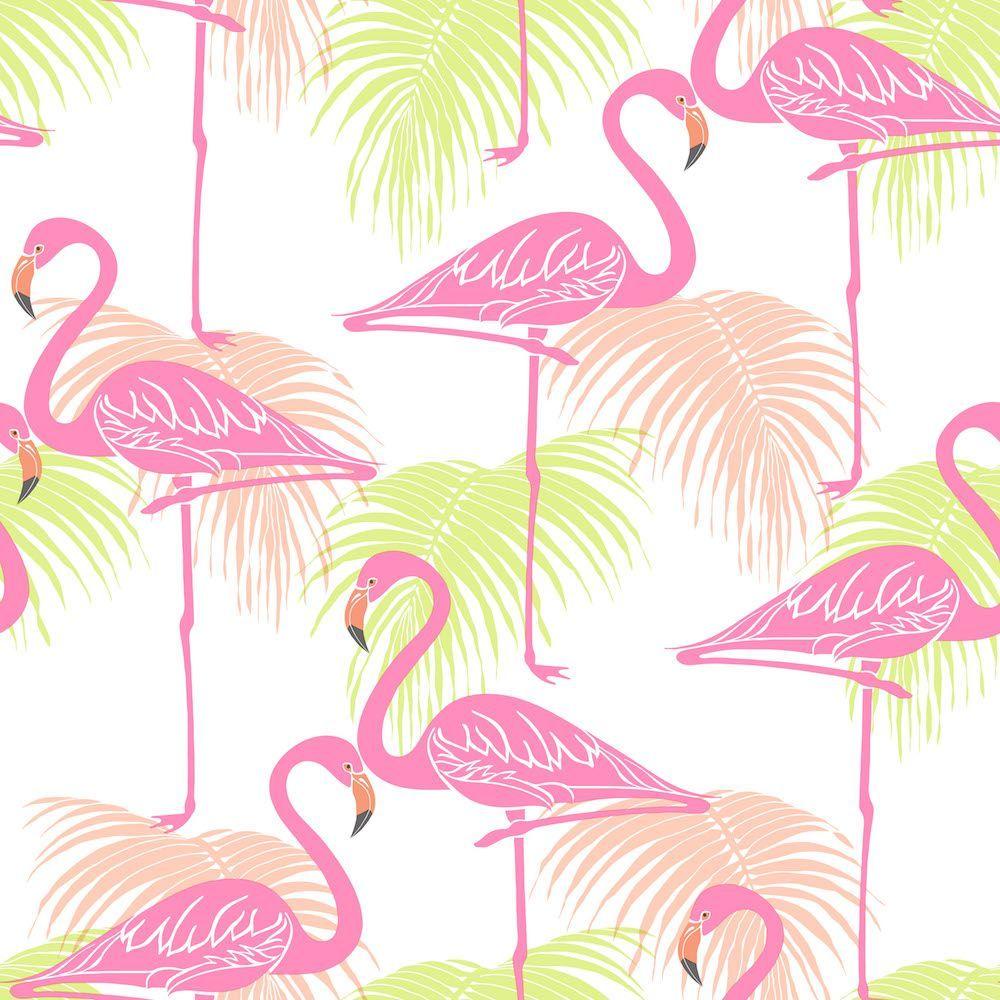 Cartoon Flamingo Wallpapers - Top Free Cartoon Flamingo Backgrounds ...