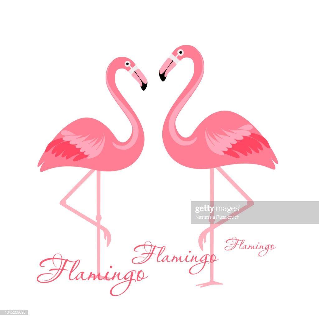 Cartoon Flamingo Wallpapers - Top Free Cartoon Flamingo Backgrounds ...
