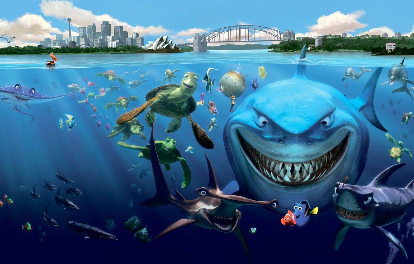 Cartoon Shark Wallpapers - Top Free Cartoon Shark Backgrounds ...