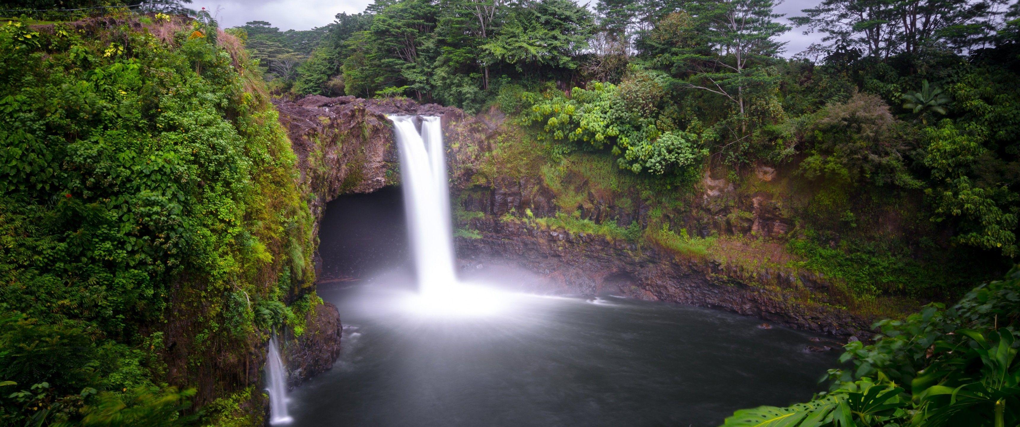 Hawaii Forest Wallpapers - Top Free Hawaii Forest Backgrounds ...
