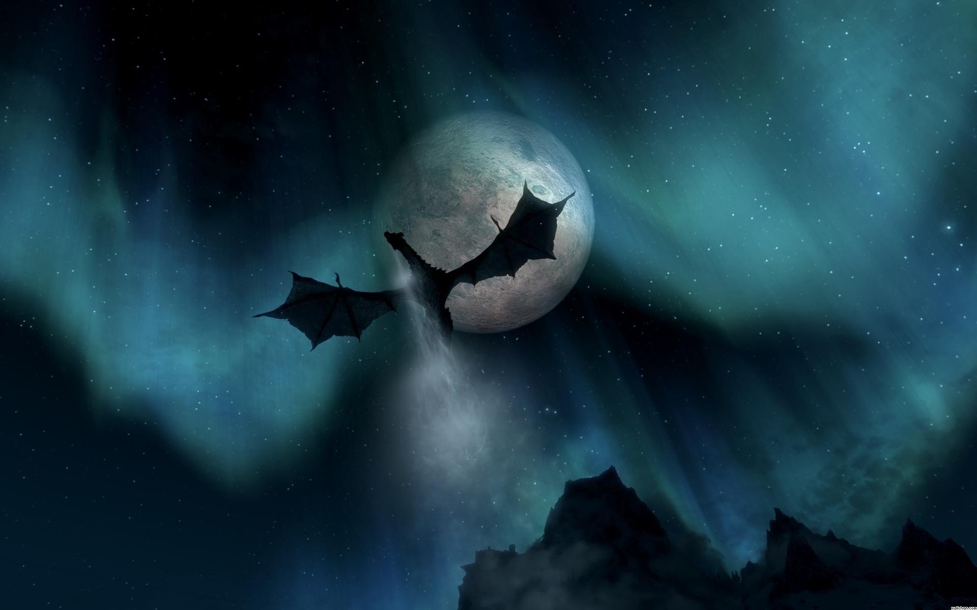 Star Dragon Wallpapers - Top Free Star Dragon Backgrounds - WallpaperAccess