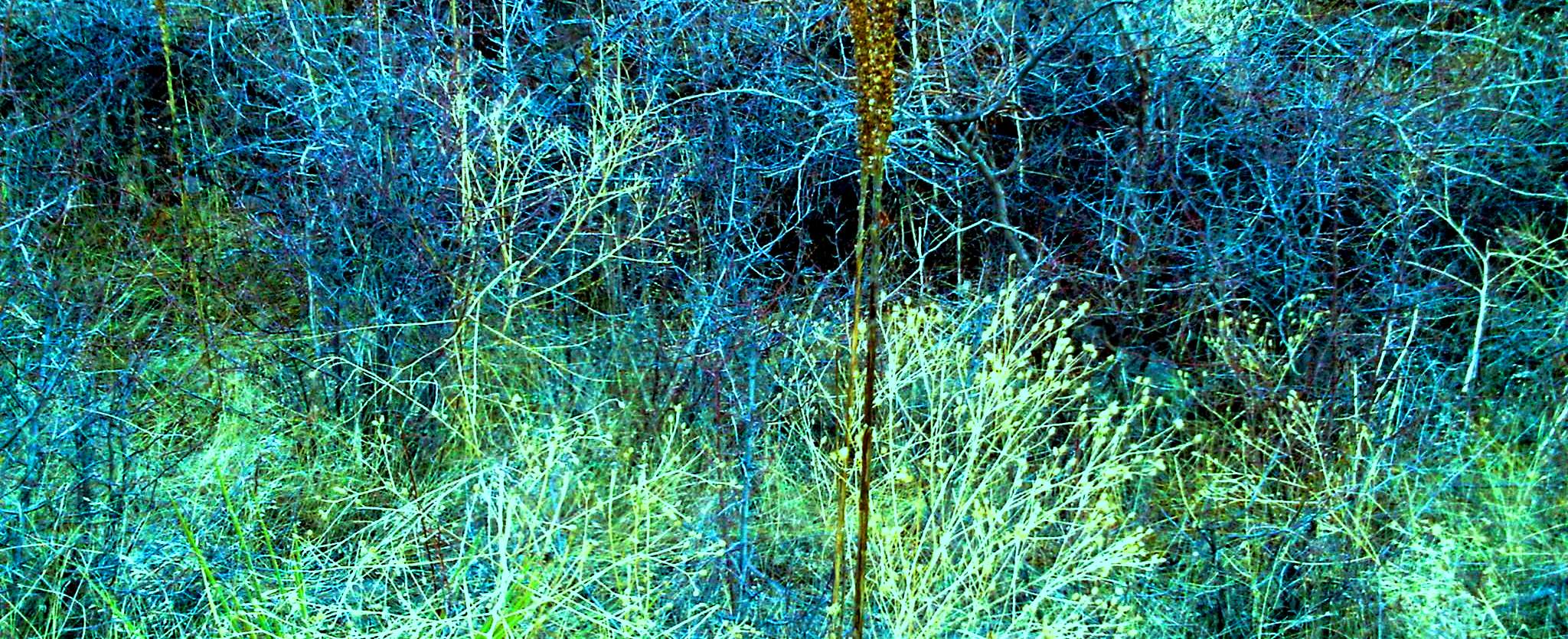 Jackson Pollock Desktop Wallpapers - Top Free Jackson Pollock Desktop ...