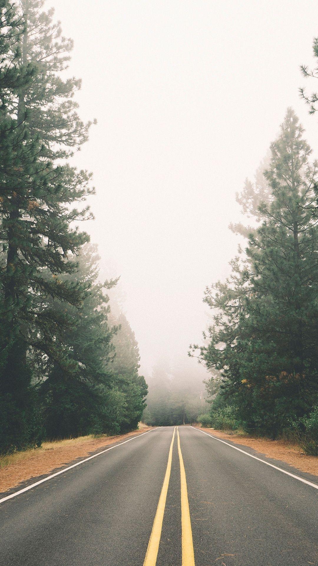 Fog iPhone Wallpapers - Top Free Fog iPhone Backgrounds - WallpaperAccess