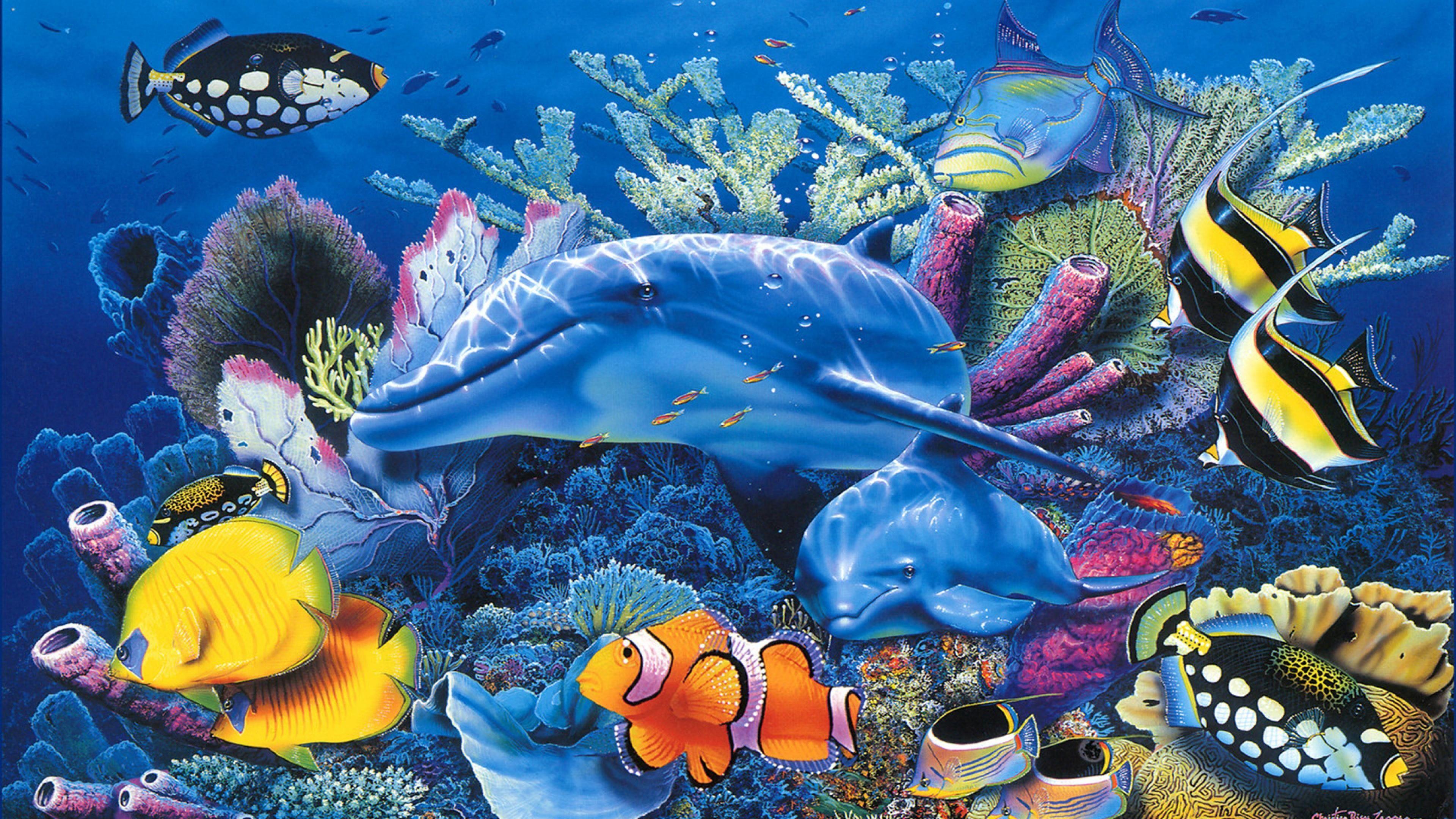 Fish 3840X2160 Wallpapers - Top Free Fish 3840X2160 Backgrounds ...