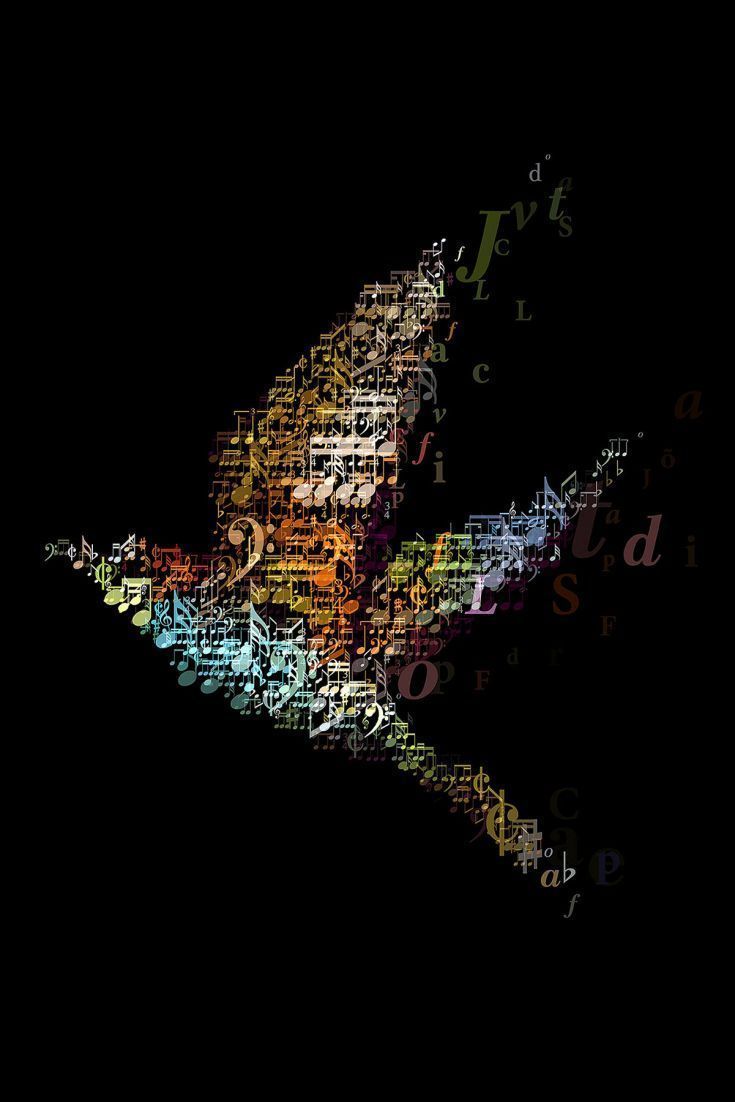 Songbird Wallpapers - Top Free Songbird Backgrounds - WallpaperAccess