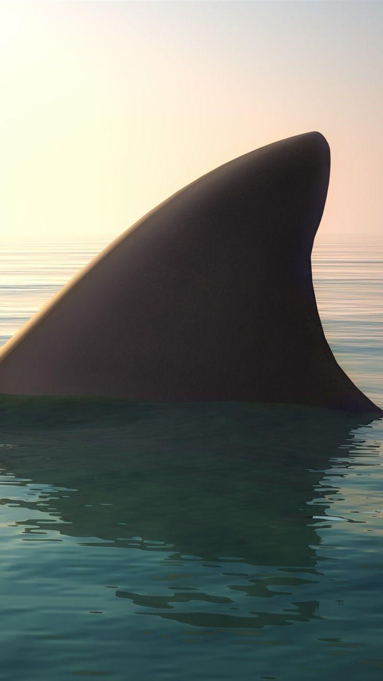 Shark iPhone Wallpapers - Top Free Shark iPhone Backgrounds ...