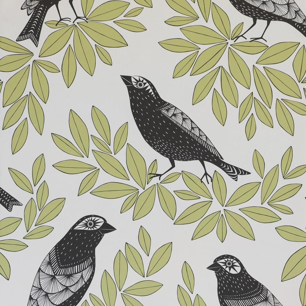 Songbird Wallpapers - Top Free Songbird Backgrounds - WallpaperAccess