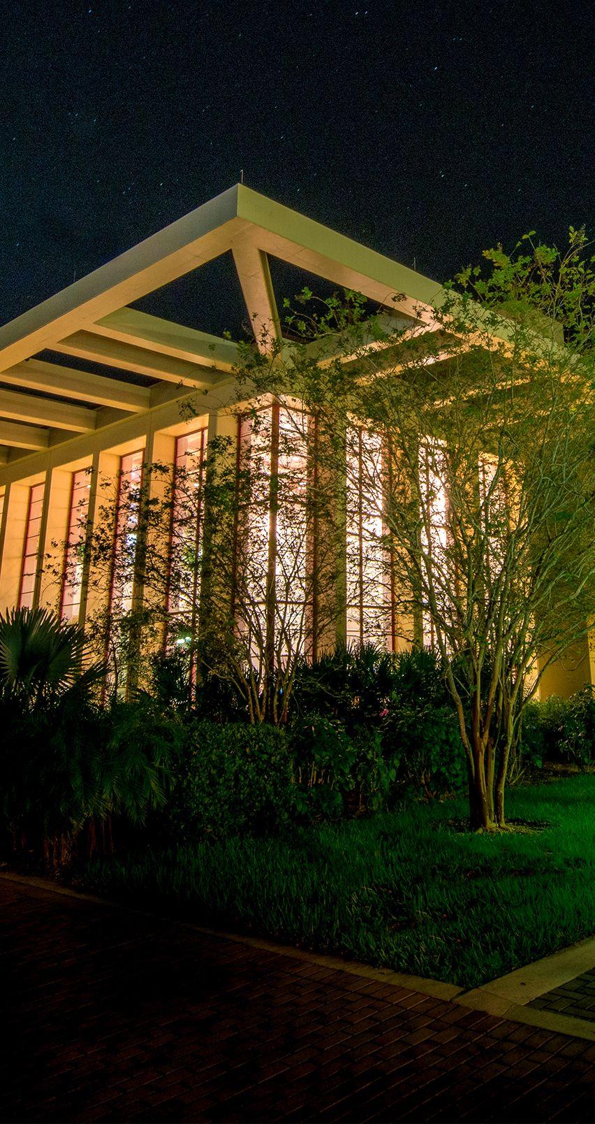 Library iPhone Wallpapers - Top Free Library iPhone Backgrounds ...