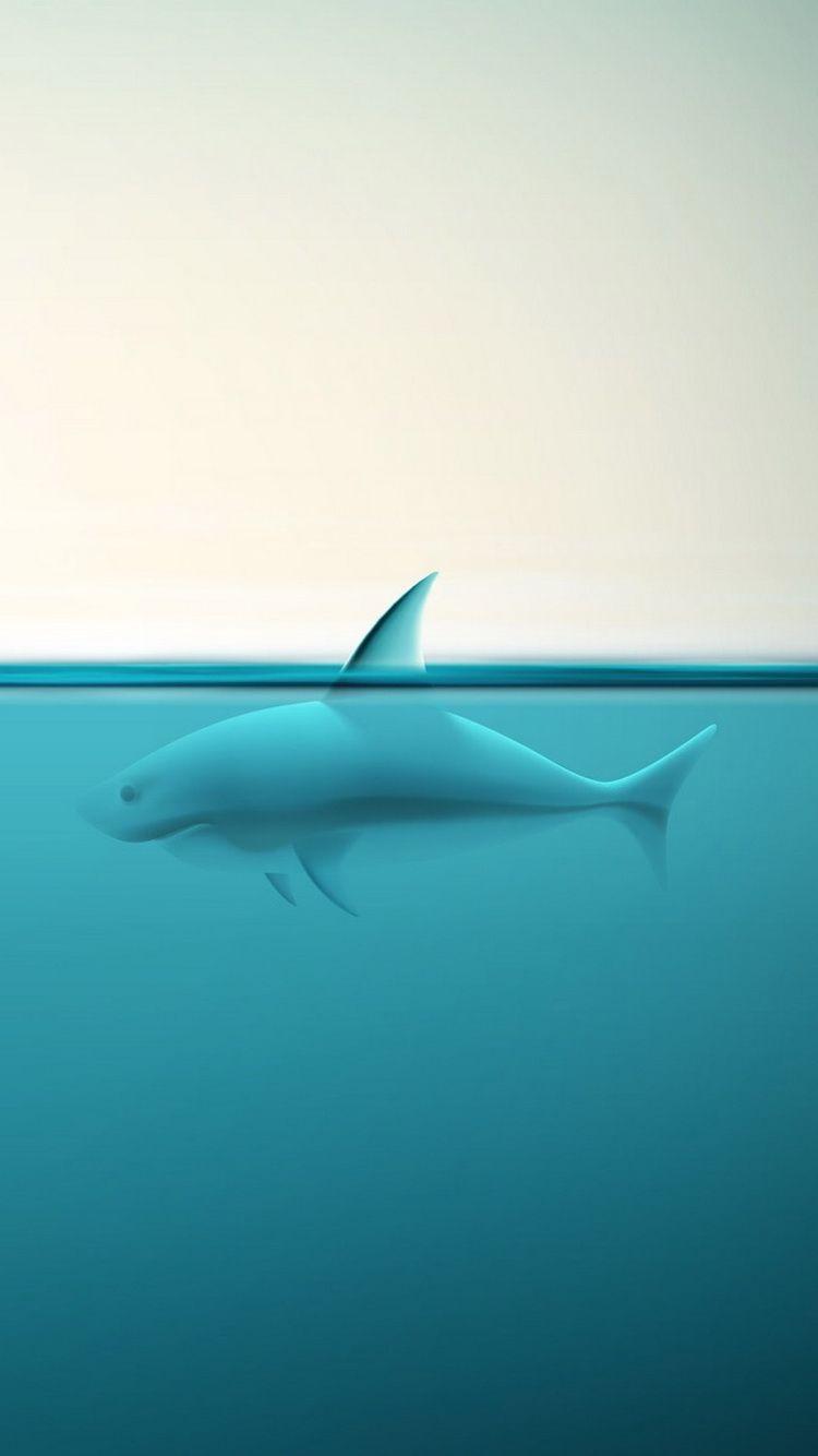 Shark iPhone Wallpapers - Top Free Shark iPhone Backgrounds ...