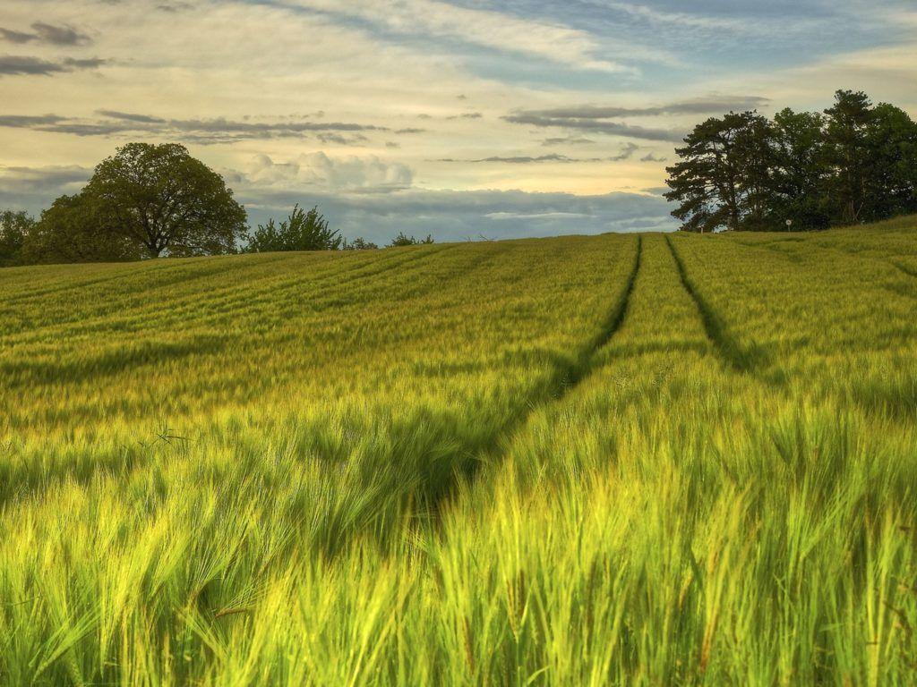 Sweden Landscape Wallpapers - Top Free Sweden Landscape Backgrounds ...