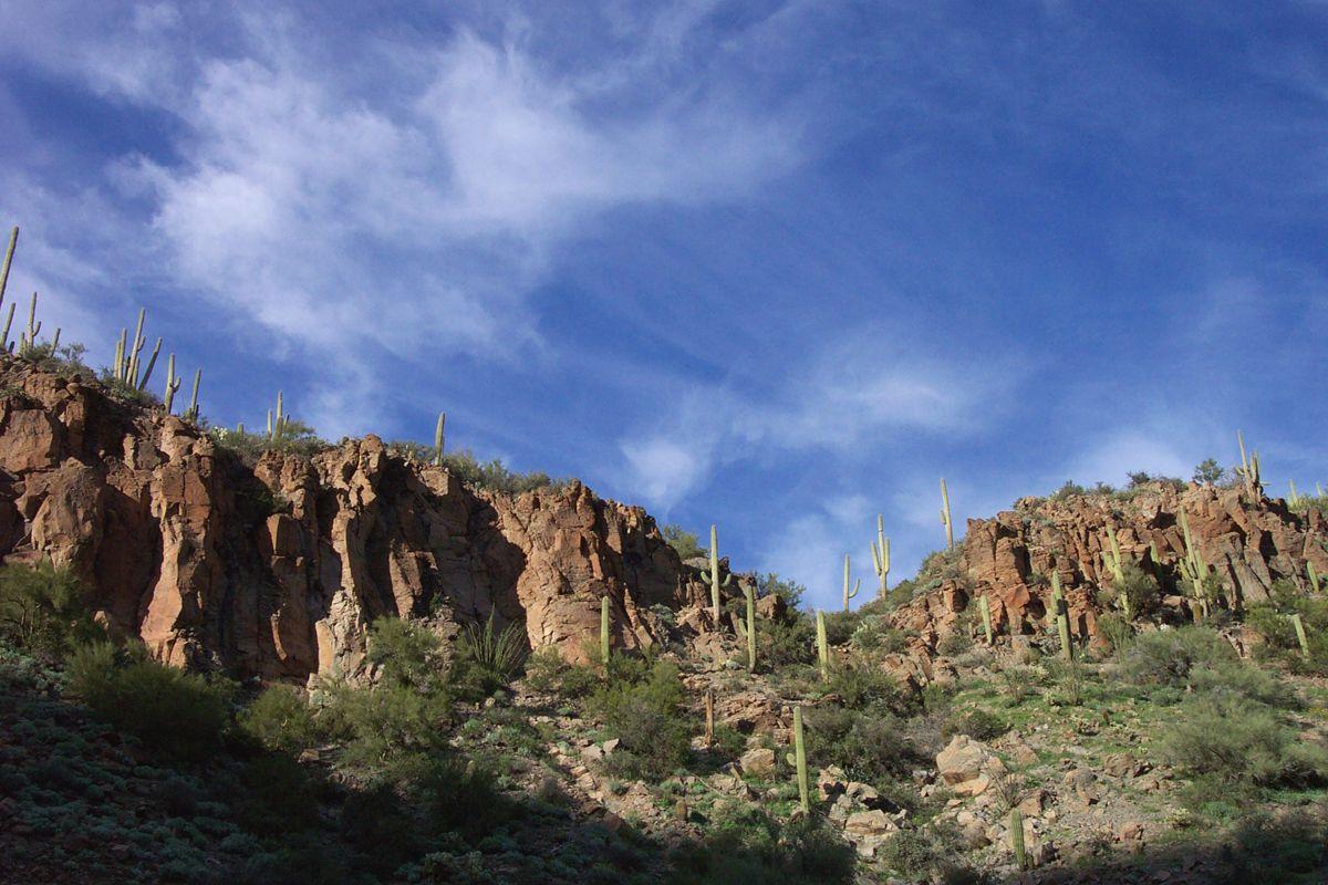 Phoenix Arizona Wallpapers - Top Free Phoenix Arizona Backgrounds ...