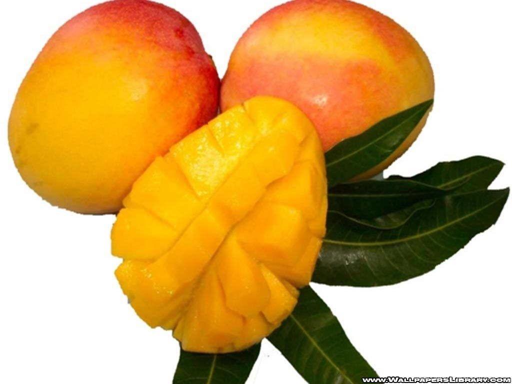 Mango Wallpapers - Top Free Mango Backgrounds - WallpaperAccess