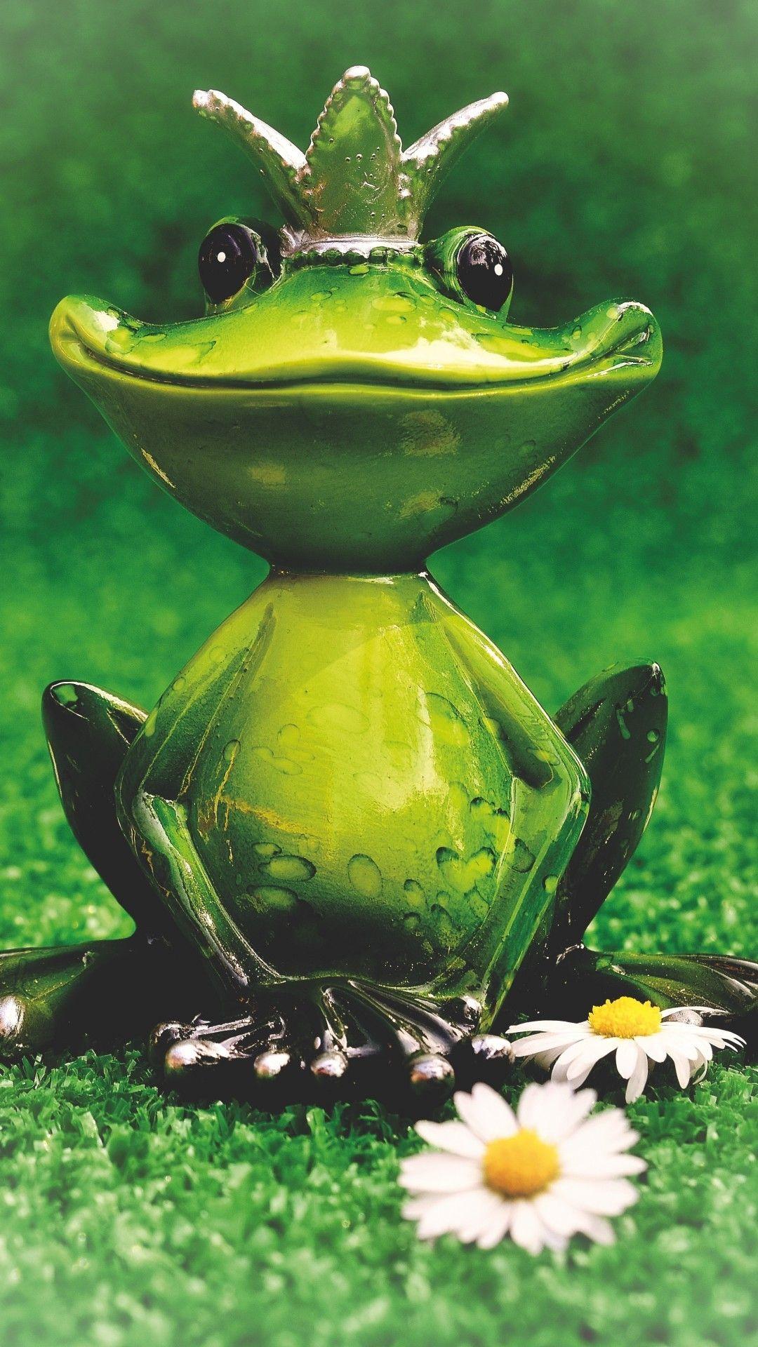 Frog iPhone Wallpapers - Top Free Frog iPhone Backgrounds - WallpaperAccess