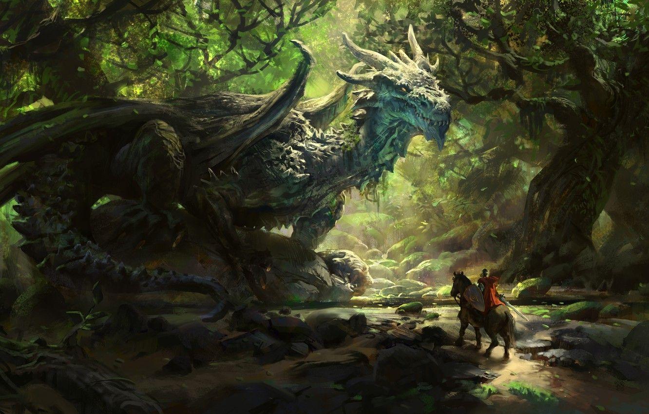 Ancient Forest Wallpapers - Top Free Ancient Forest Backgrounds ...