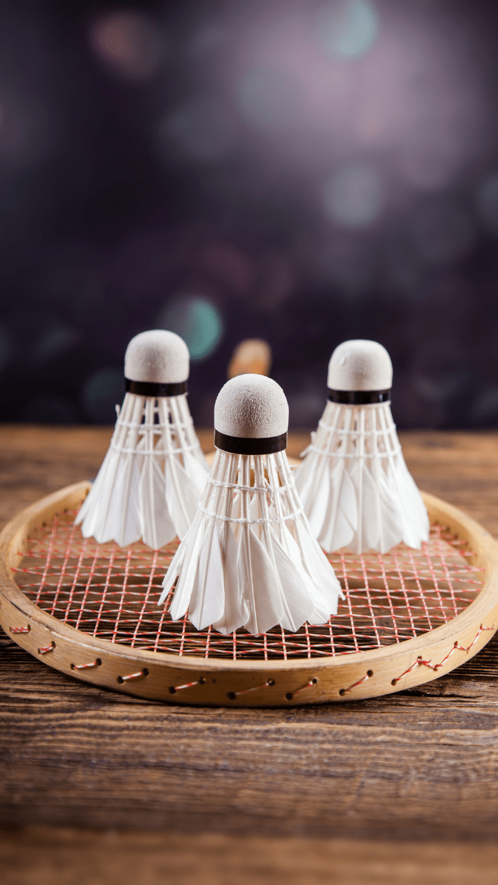 Shuttlecock Wallpapers - Top Free Shuttlecock Backgrounds - WallpaperAccess