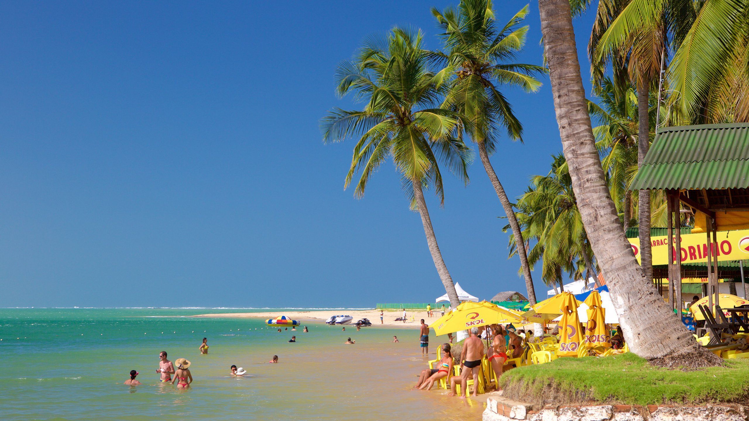 Maceió Wallpapers - Top Free Maceió Backgrounds - WallpaperAccess