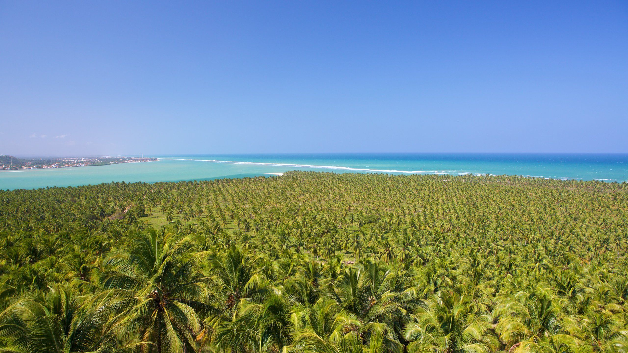 Maceió Wallpapers - Top Free Maceió Backgrounds - WallpaperAccess