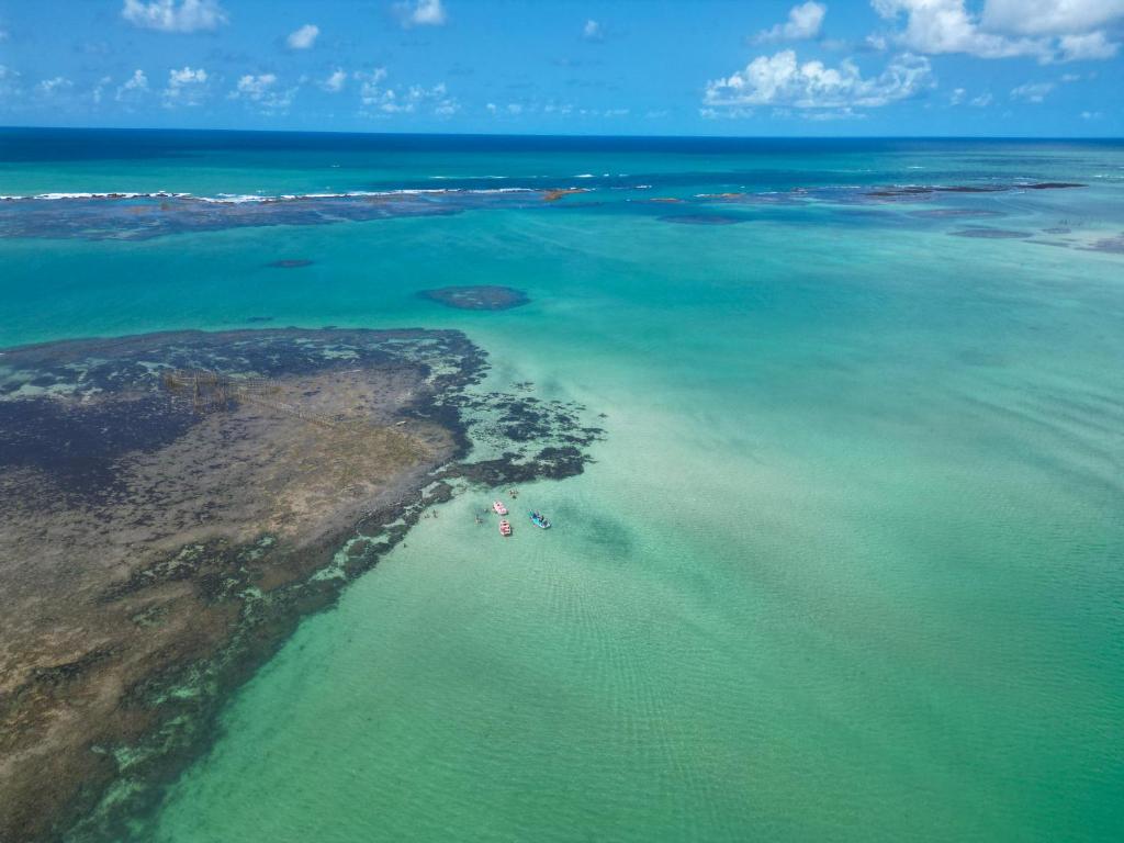 Maceió Wallpapers - Top Free Maceió Backgrounds - WallpaperAccess