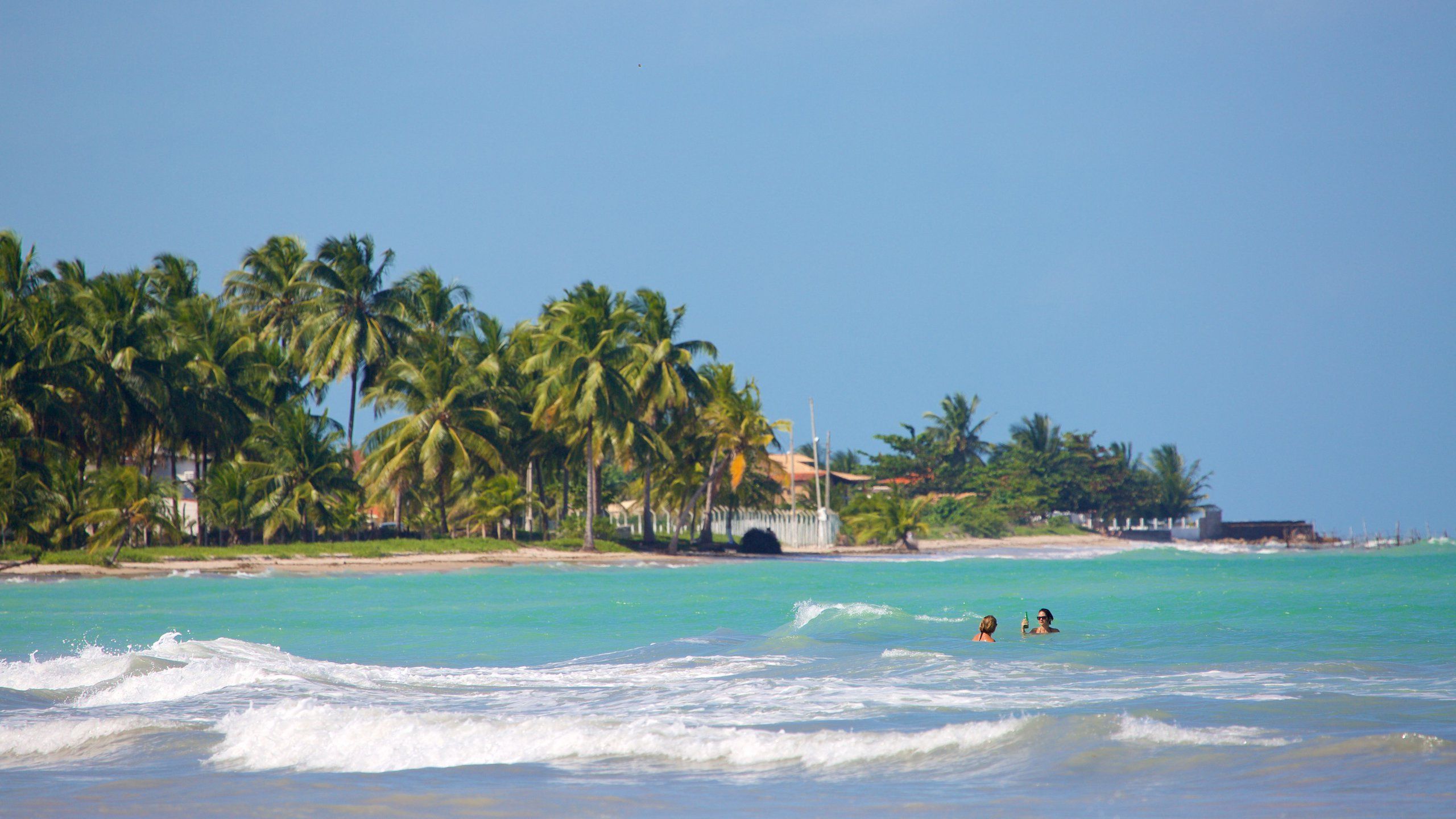 Maceió Wallpapers - Top Free Maceió Backgrounds - WallpaperAccess