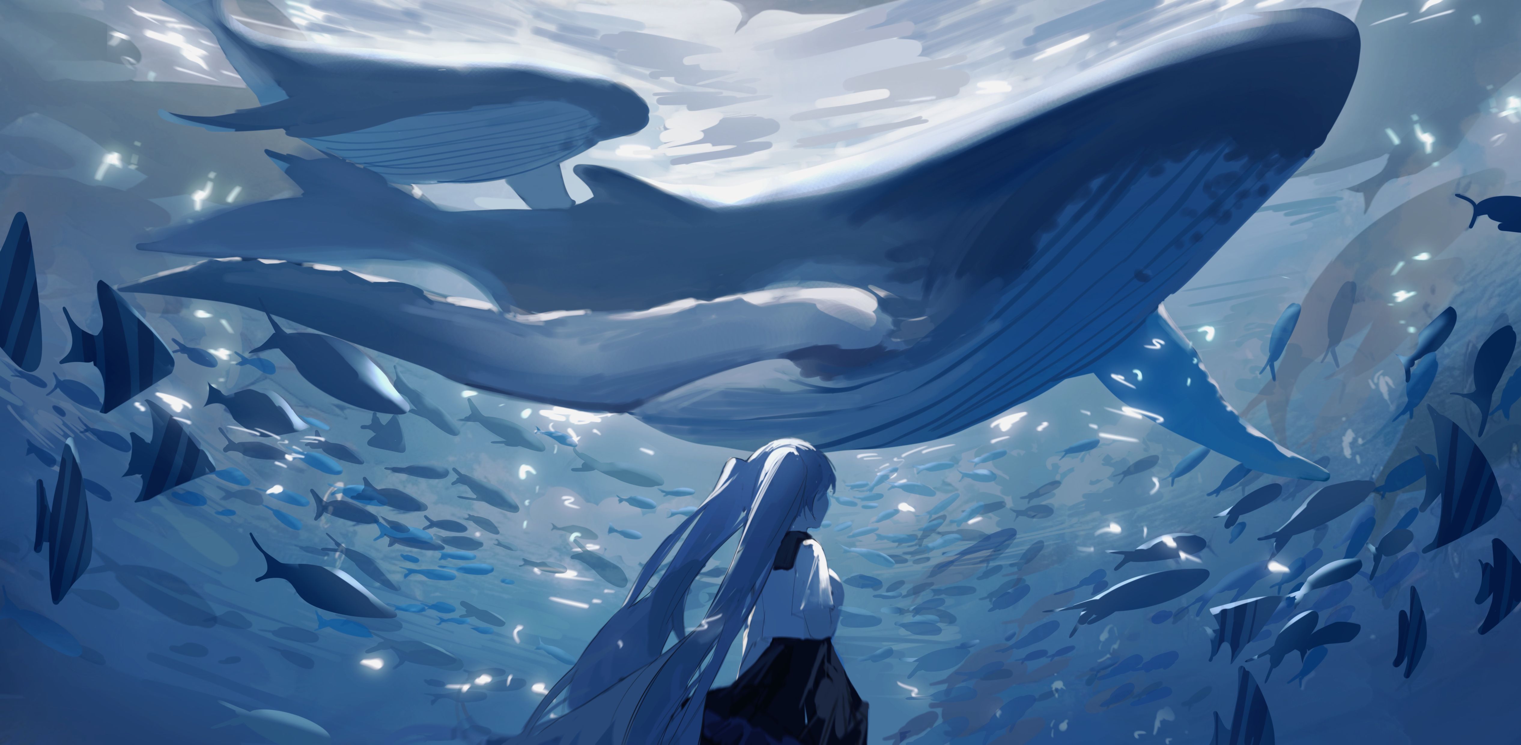 Whale Anime Wallpapers - Top Free Whale Anime Backgrounds - WallpaperAccess