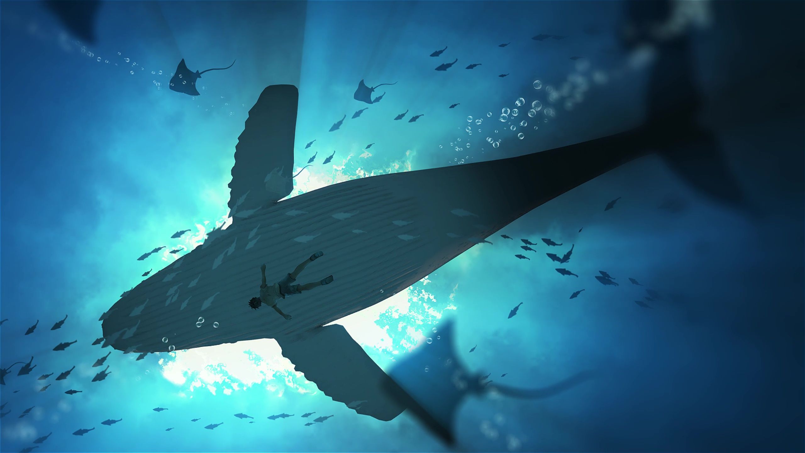 Whale Anime Wallpapers - Top Free Whale Anime Backgrounds - WallpaperAccess