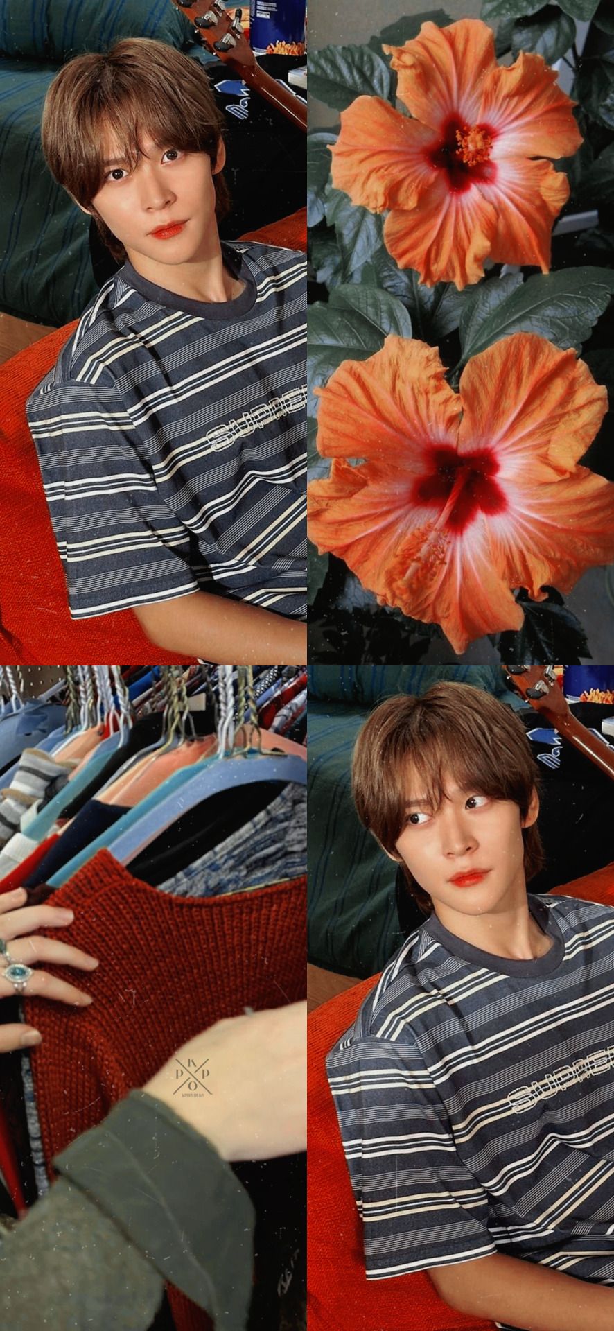 Riize Wallpapers - Top Free Riize Backgrounds - WallpaperAccess